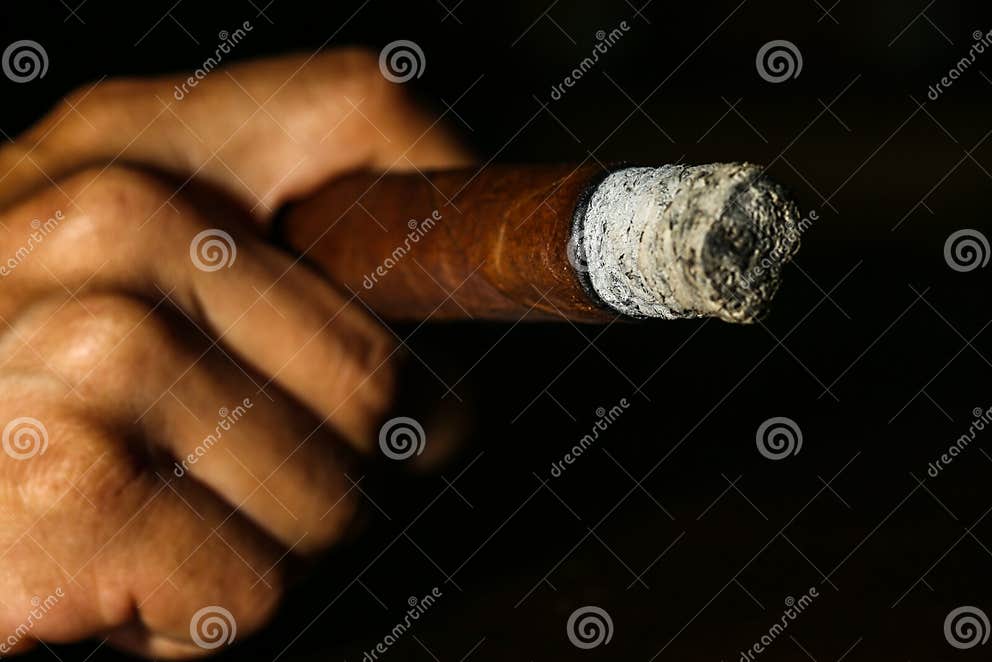 A cigar in the hand stock photo. Image of finger, cigar - 80925908