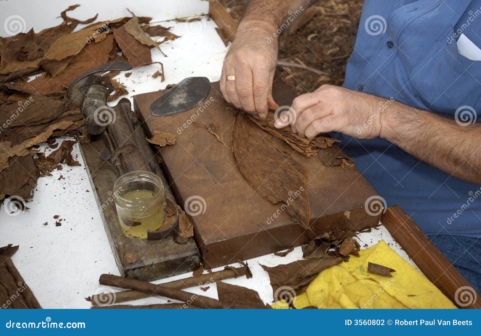 Cigar making stock photo. Image of farmers, cigar, harvest - 3560802