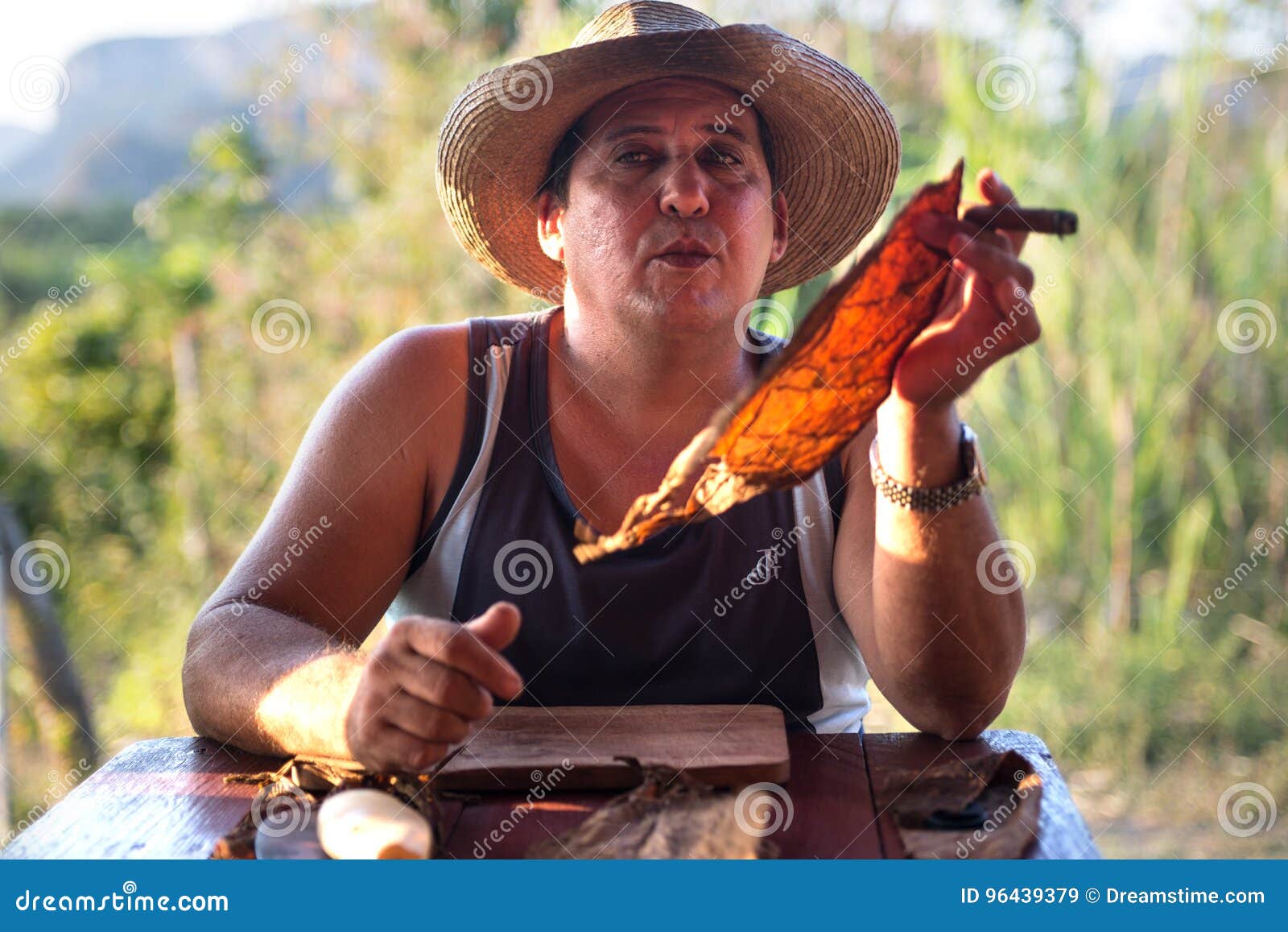 Cigar roller editorial stock image. Image of cuba, cigar - 96439379