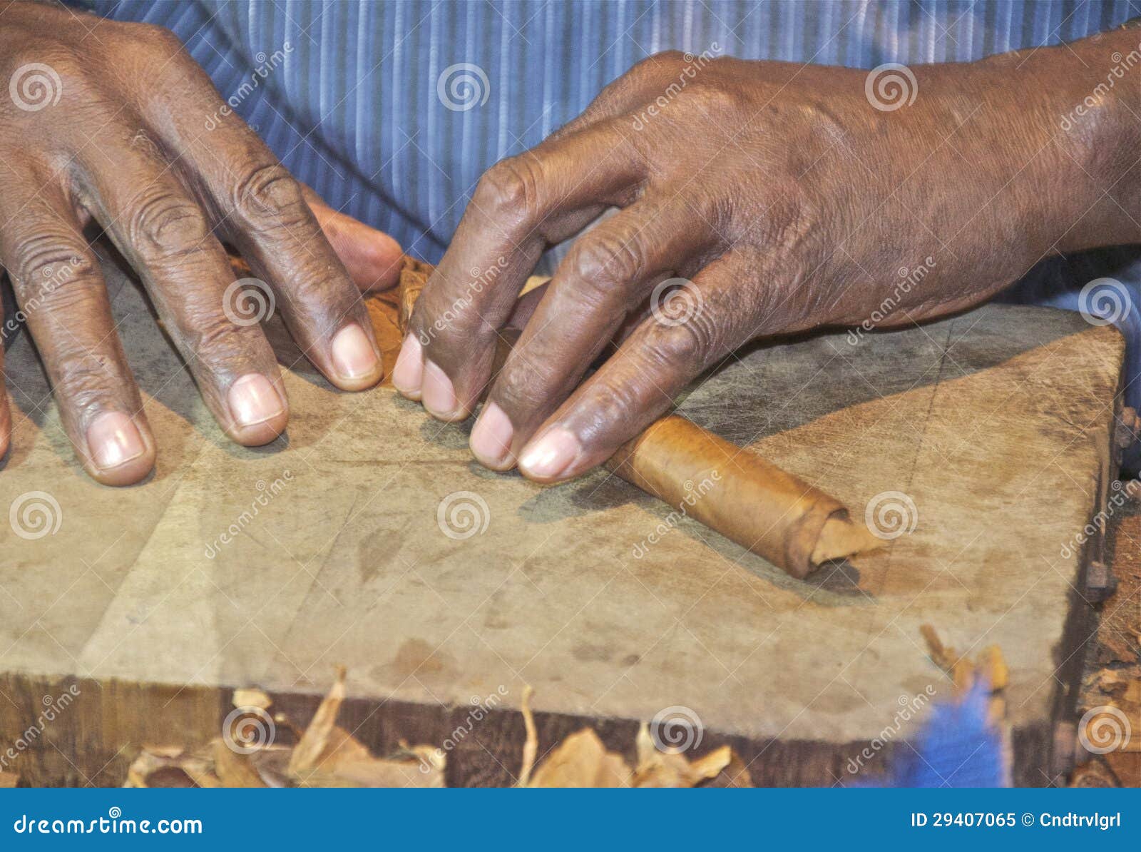 Cigar Rolling in Cuba stock image. Image of closeup, creating - 29407065