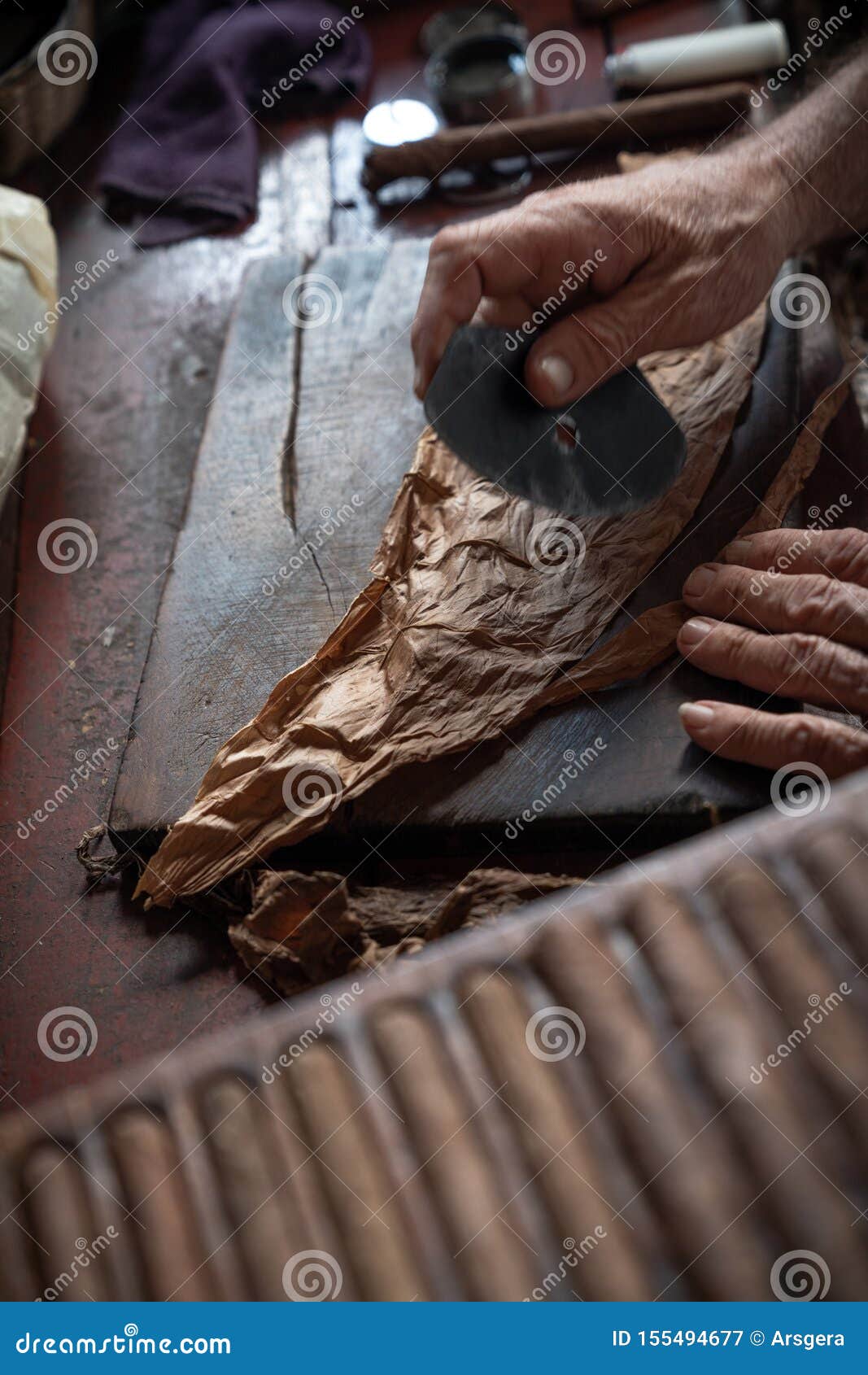 Cigar Rolling or Making by Torcedor in Cuba Stock Image - Image of ...