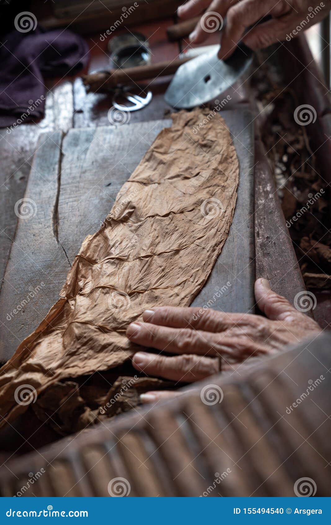 Cigar Rolling or Making by Torcedor in Cuba Stock Photo - Image of ...