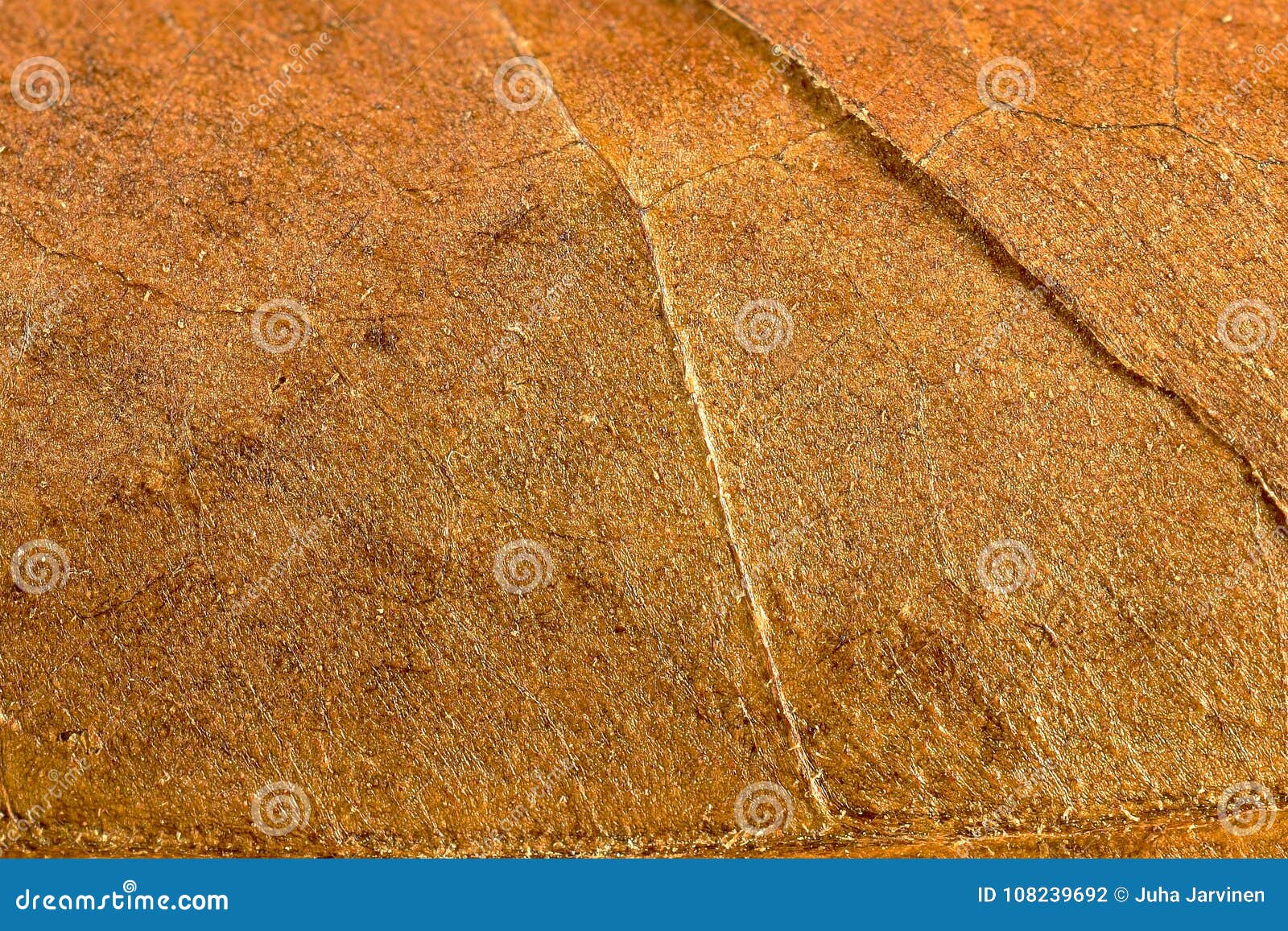 Cigar close up stock photo. Image of surface, brown - 108239692