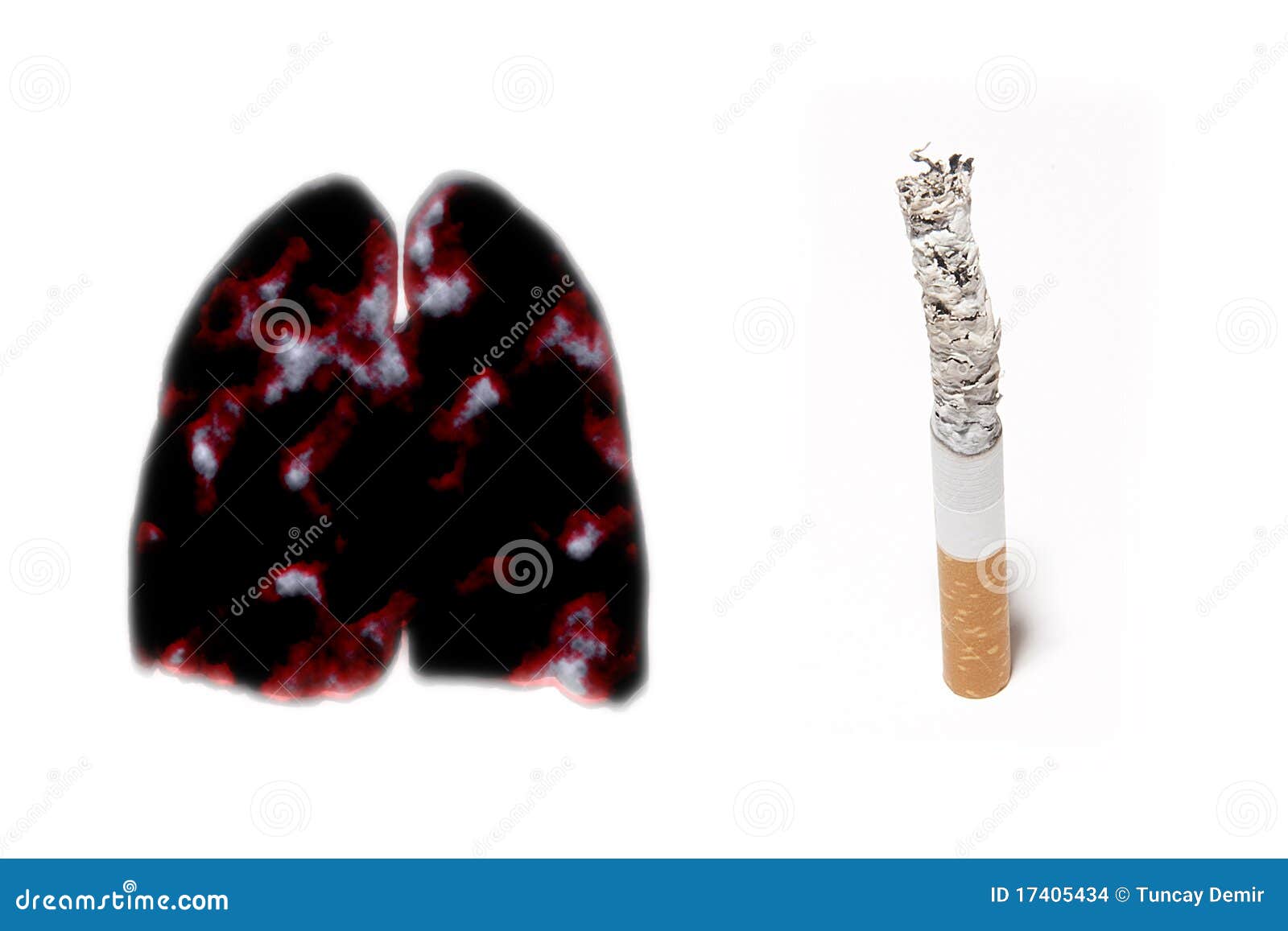Cigarette ash stock photo. Image of risk, tobacco, lungs - 17405434
