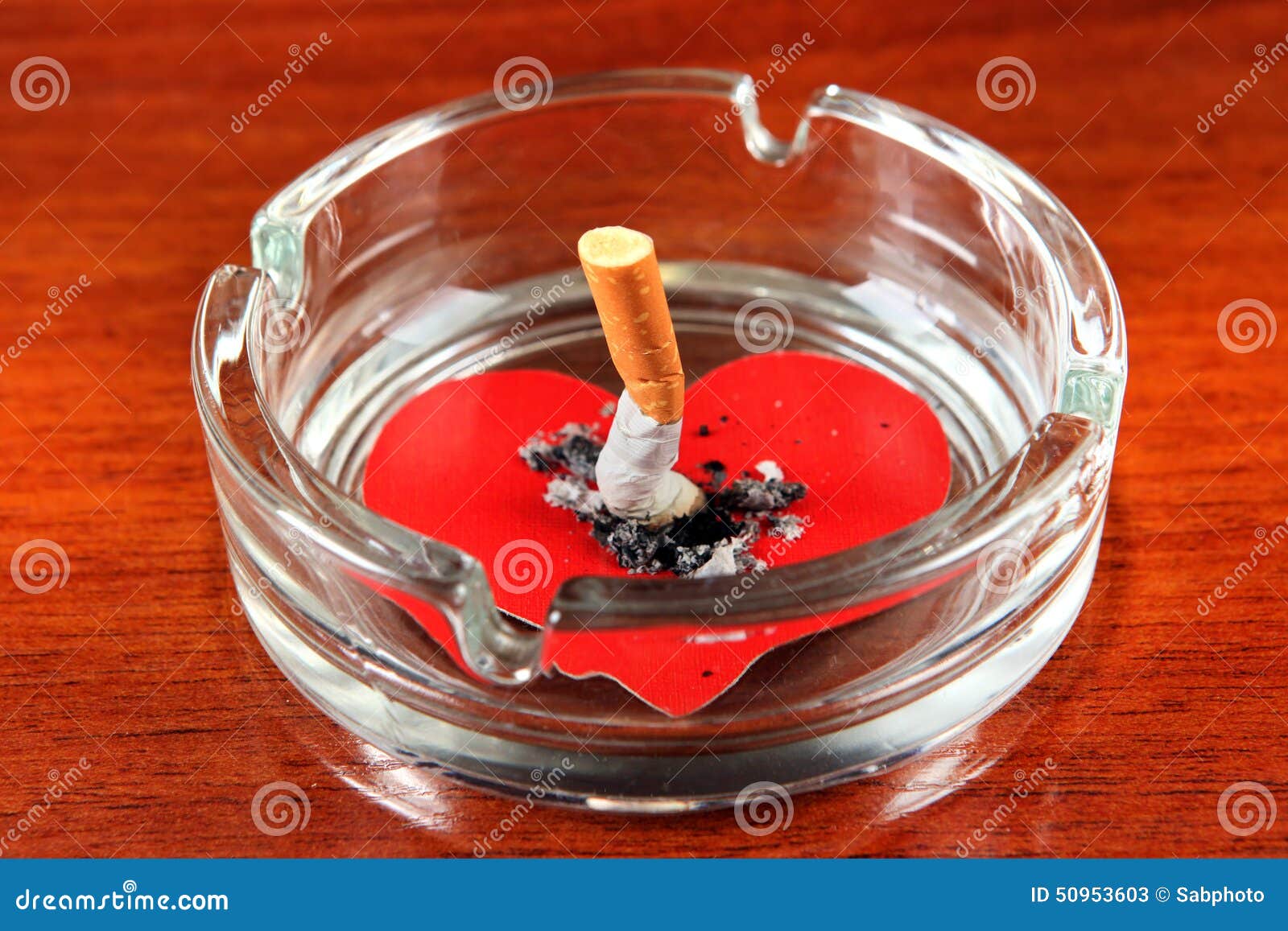 Cigarette in Ashtray stock image. Image of disgust, risk - 50953603
