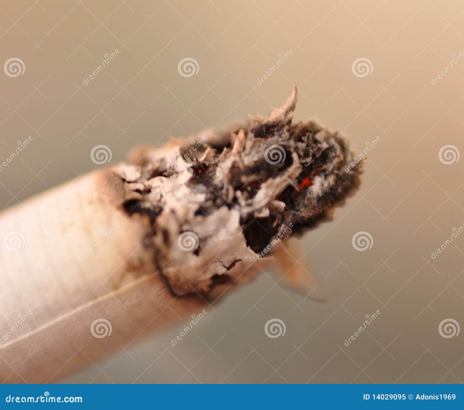 Cigarette burning stock image. Image of smoking, burn - 14029095