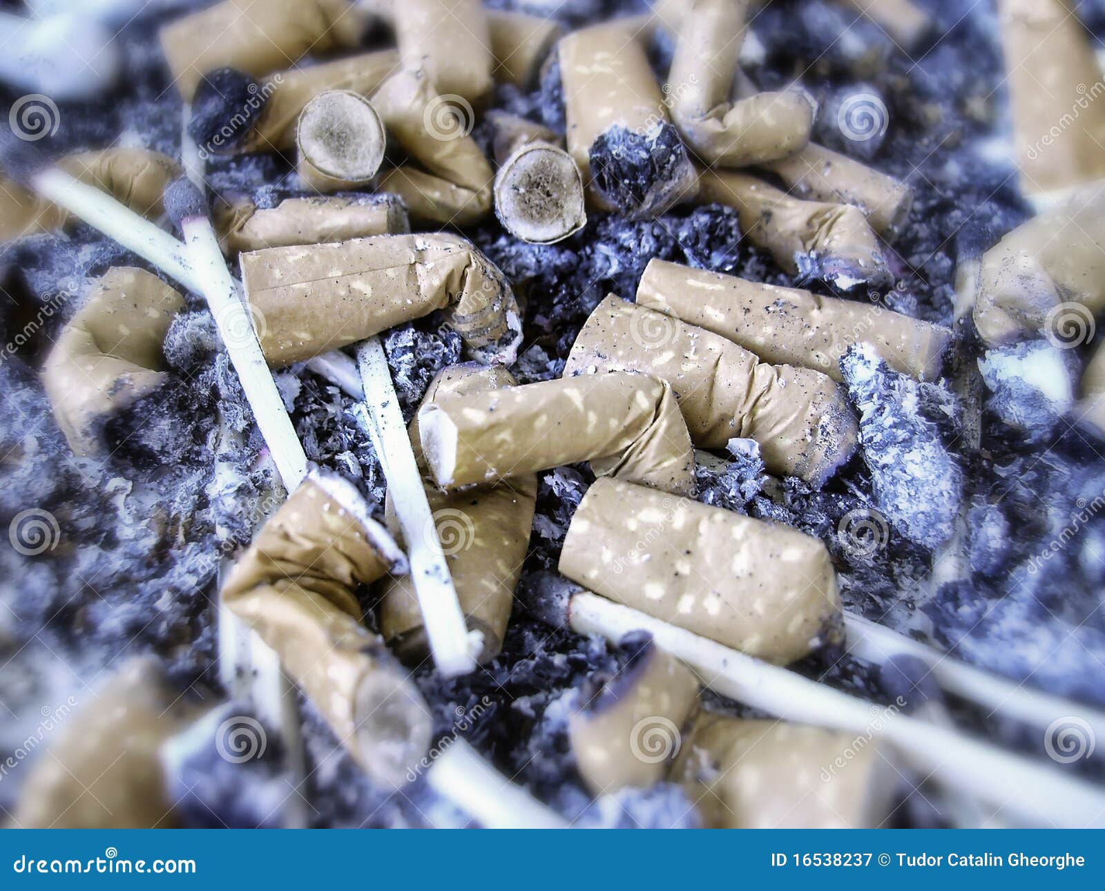 Cigarette burns stock image. Image of filter, burn, harm - 16538237