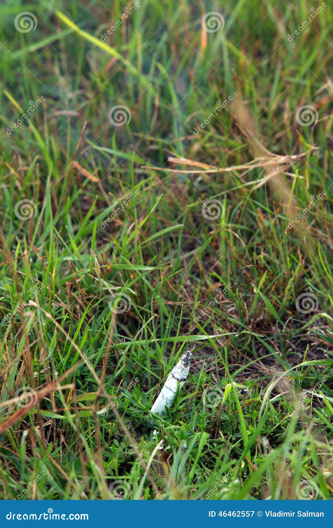 Cigarette on the grass stock image. Image of illness - 46462557