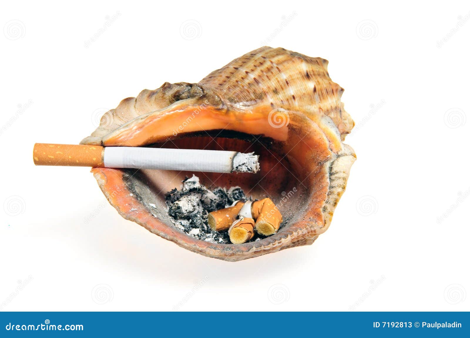 Cigarette in the Shell Ashtray Stock Image - Image of habit, risk: 7192813