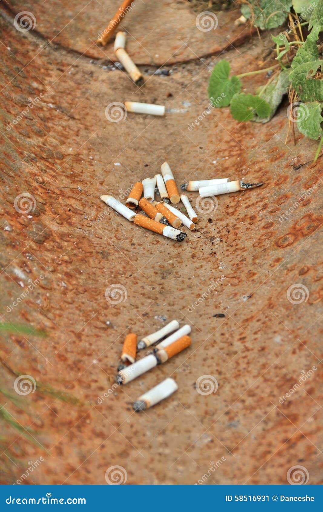 Cigarette Butts, Thrown into Drainage Gutter Stock Image - Image of ...