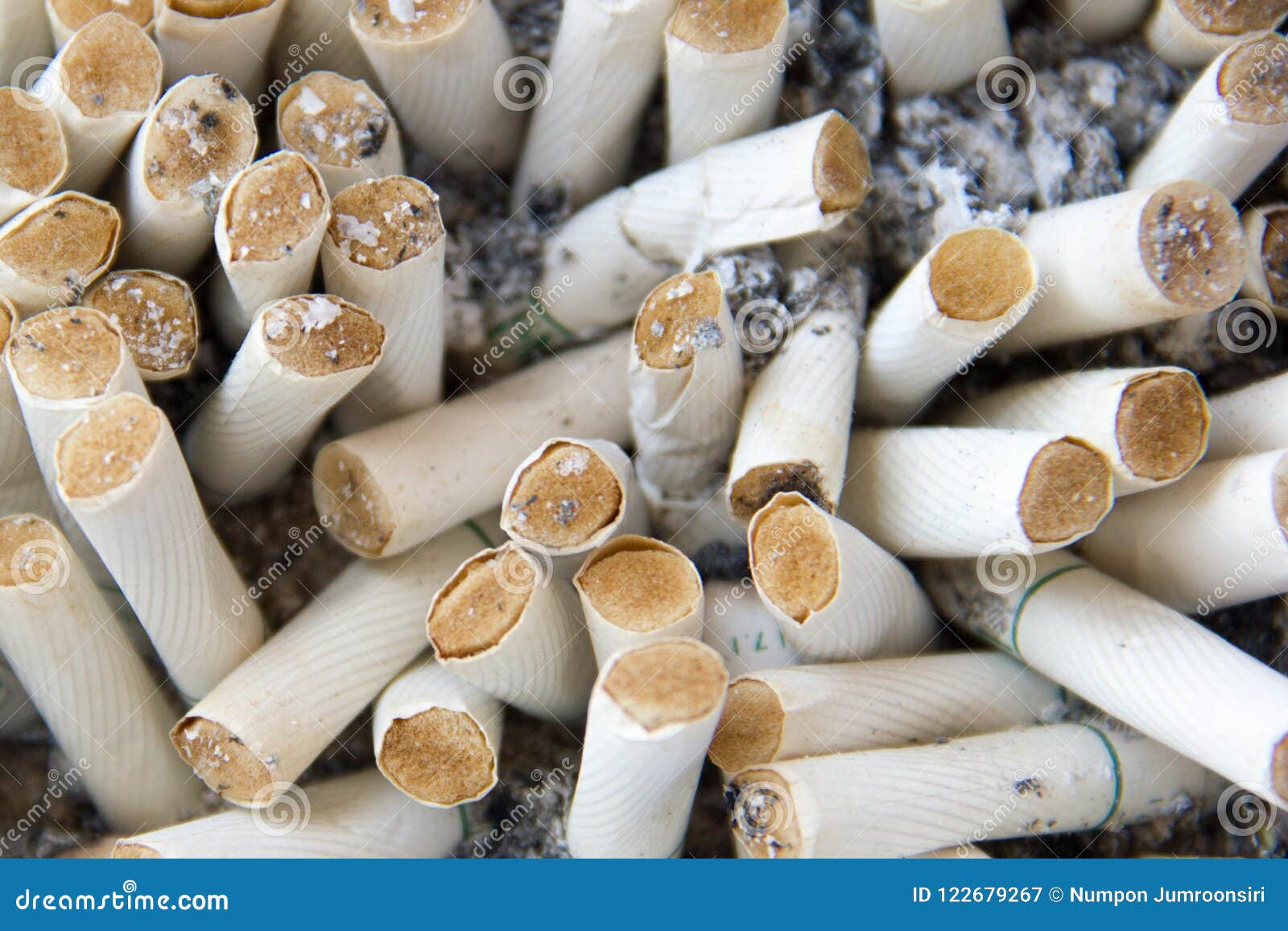 Cigarette Butts in Trash Bin Stock Image - Image of burnt, closeup ...