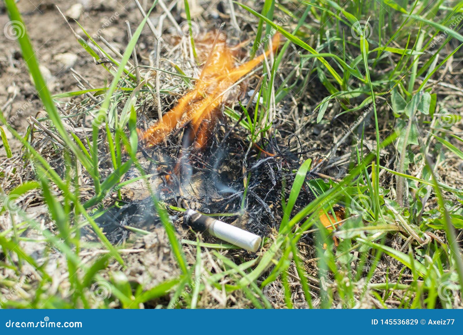 Cigarette Causing a Dangerous Fire on the Forest Stock Image - Image of ...