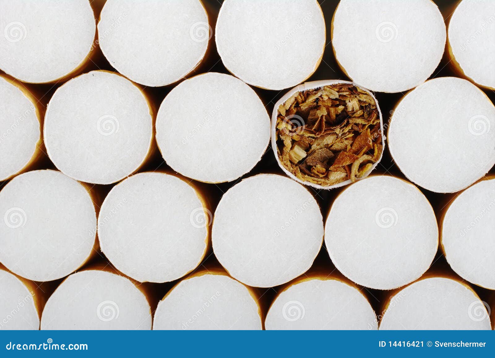 Cigarette Filter Texture