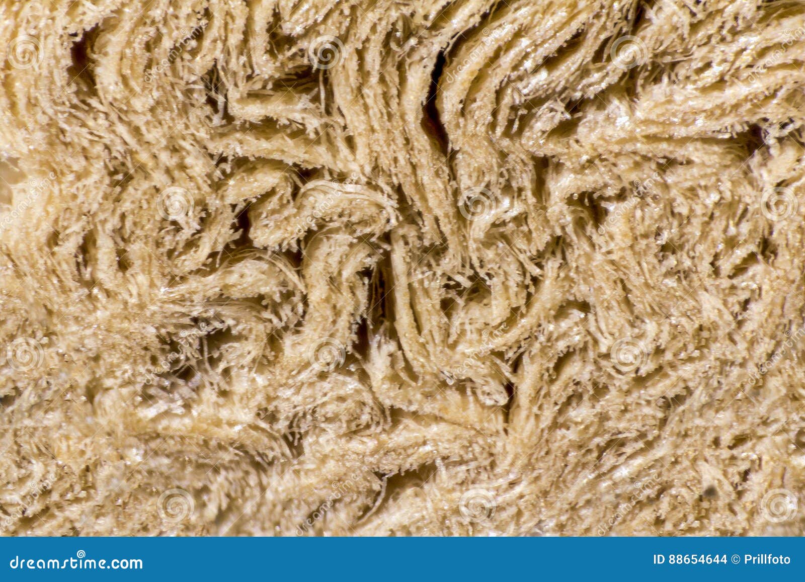 Cigarette Filter Texture