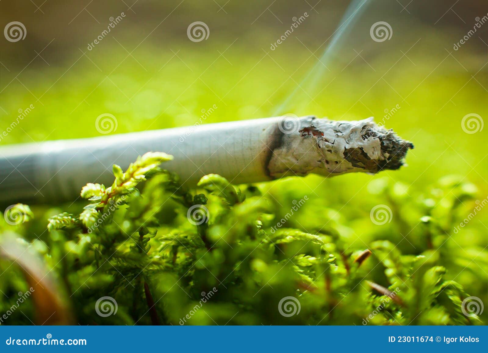 Cigarette in grass stock photo. Image of harm, plant - 23011674
