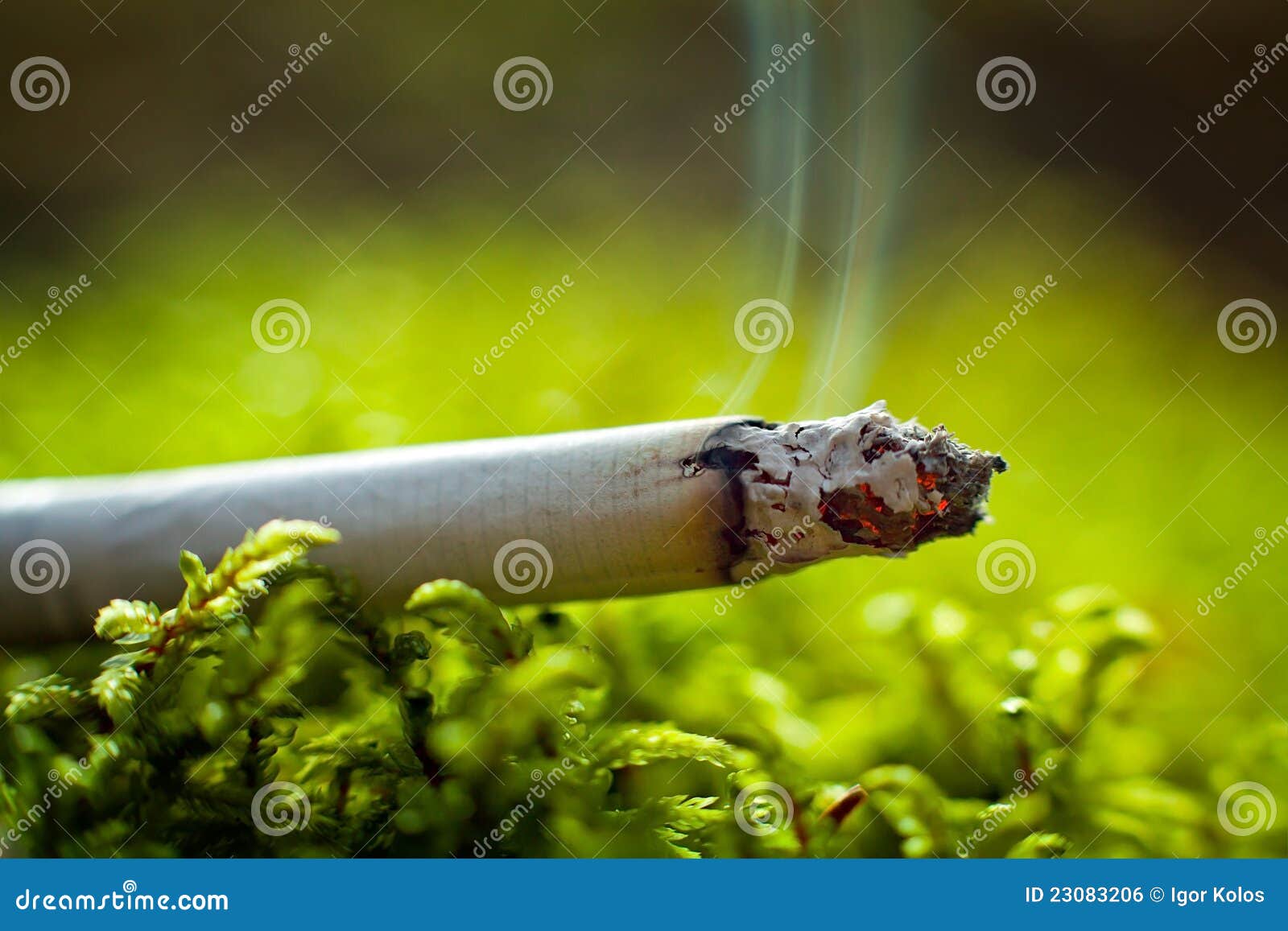 Cigarette in grass stock photo. Image of harm, outdoors - 23083206