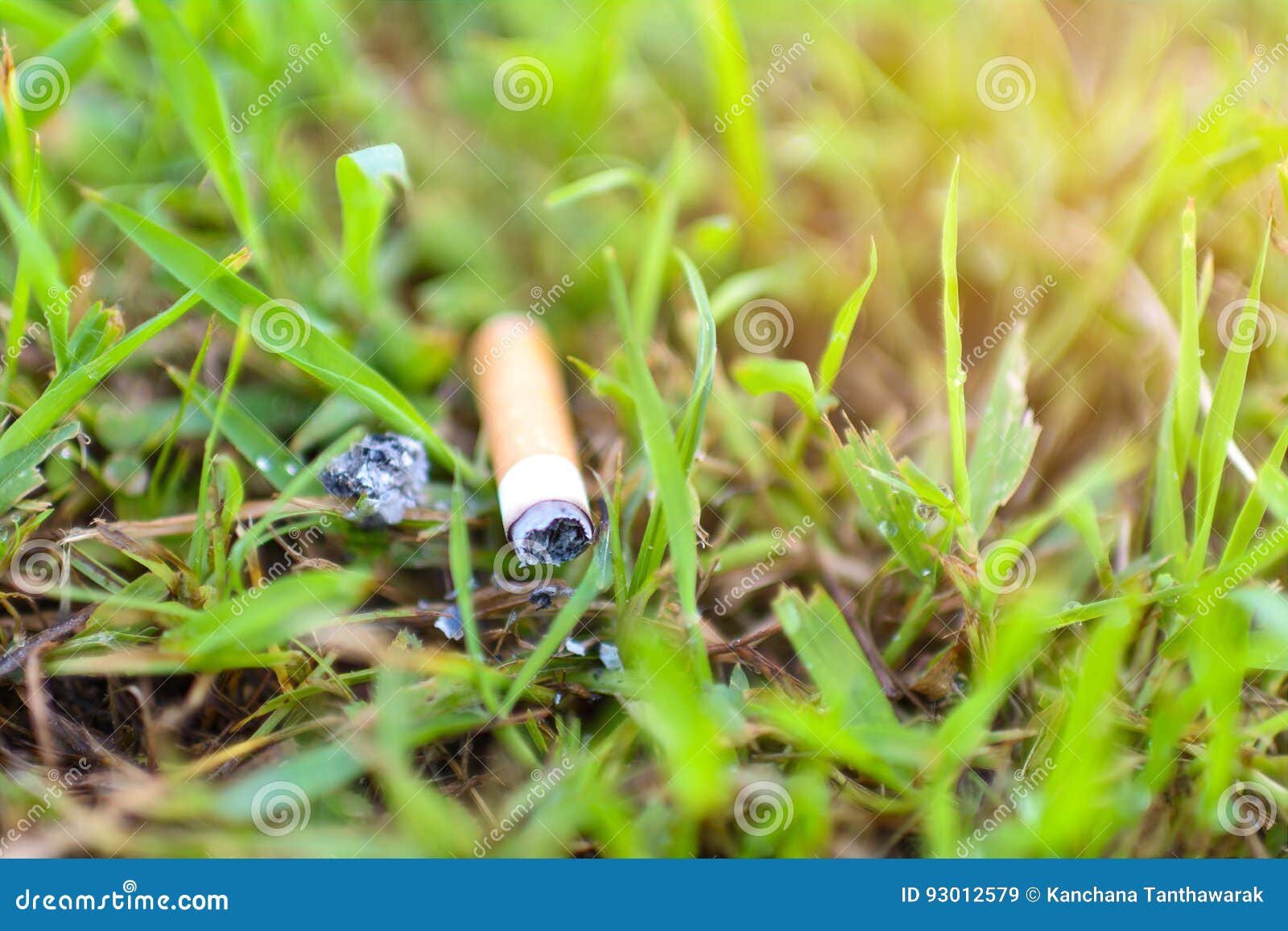 Cigarette on Grass stock image. Image of smoke, danger - 93012579