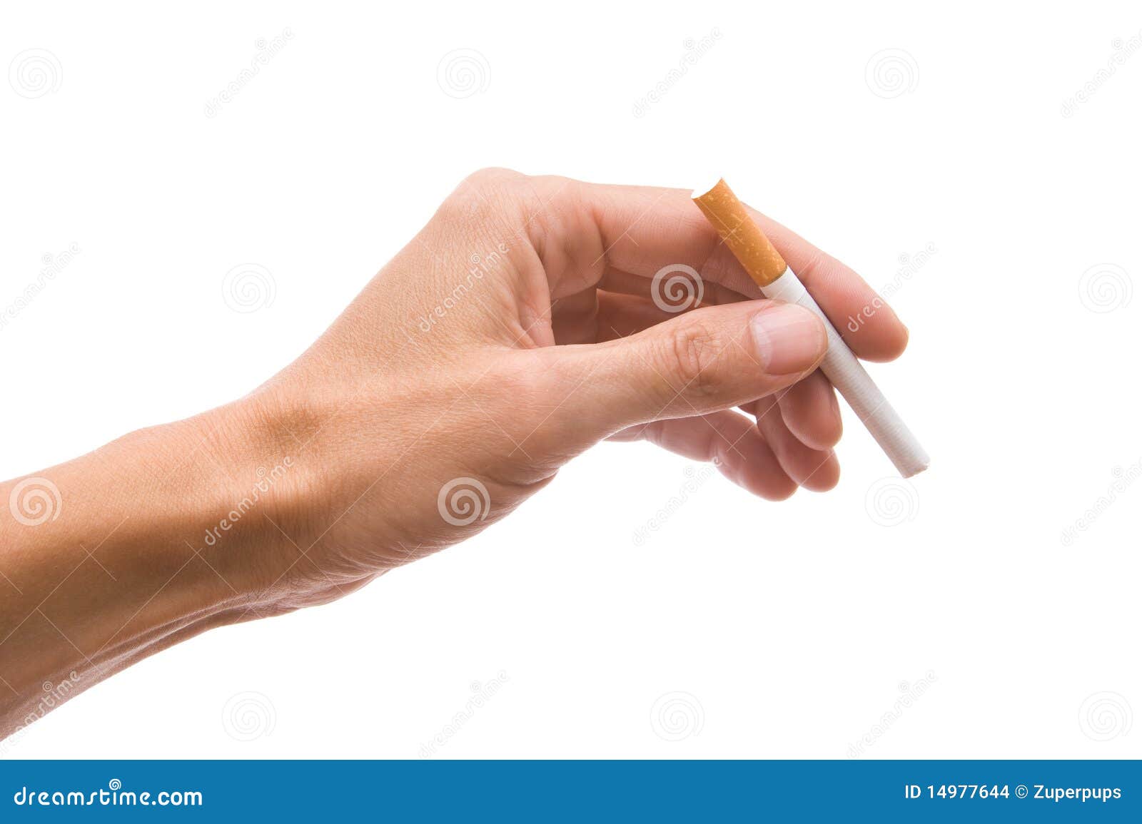 Cigarette in a hand stock photo. Image of crush, addiction - 14977644