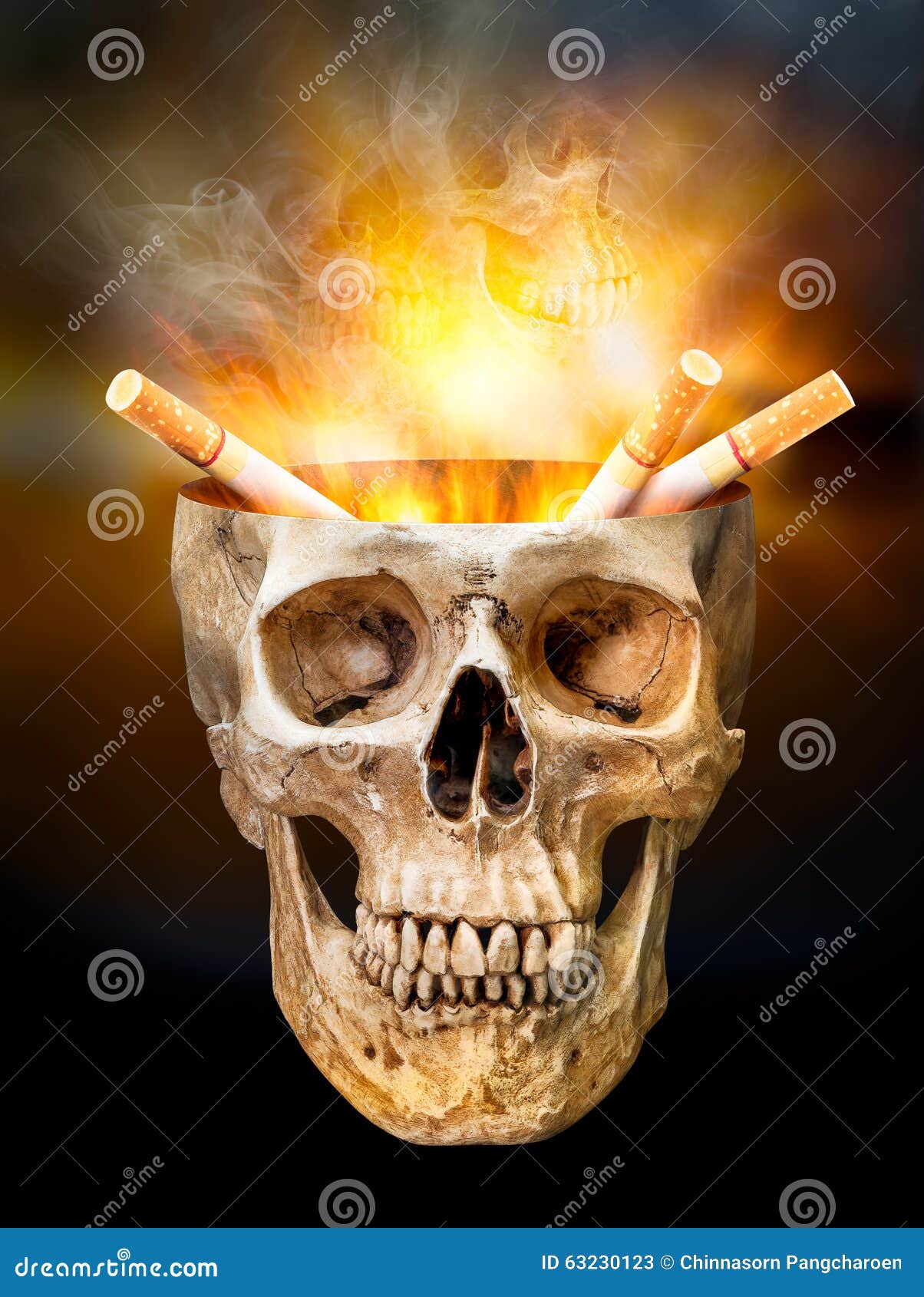 Cigarette in human skull stock image. Image of destroy - 63230123