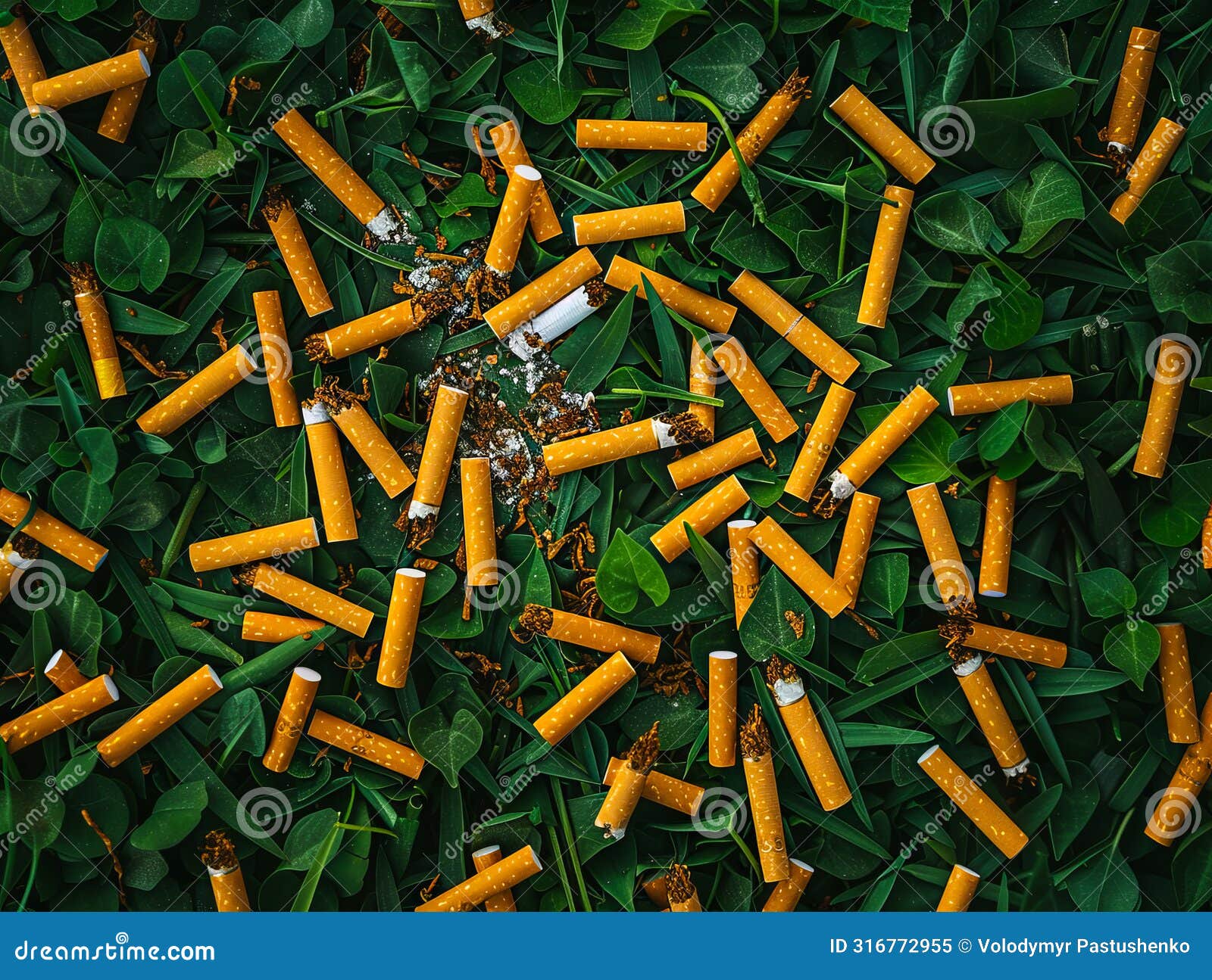 Cigarette Litter on the Ground Stock Image - Image of ground, litter ...