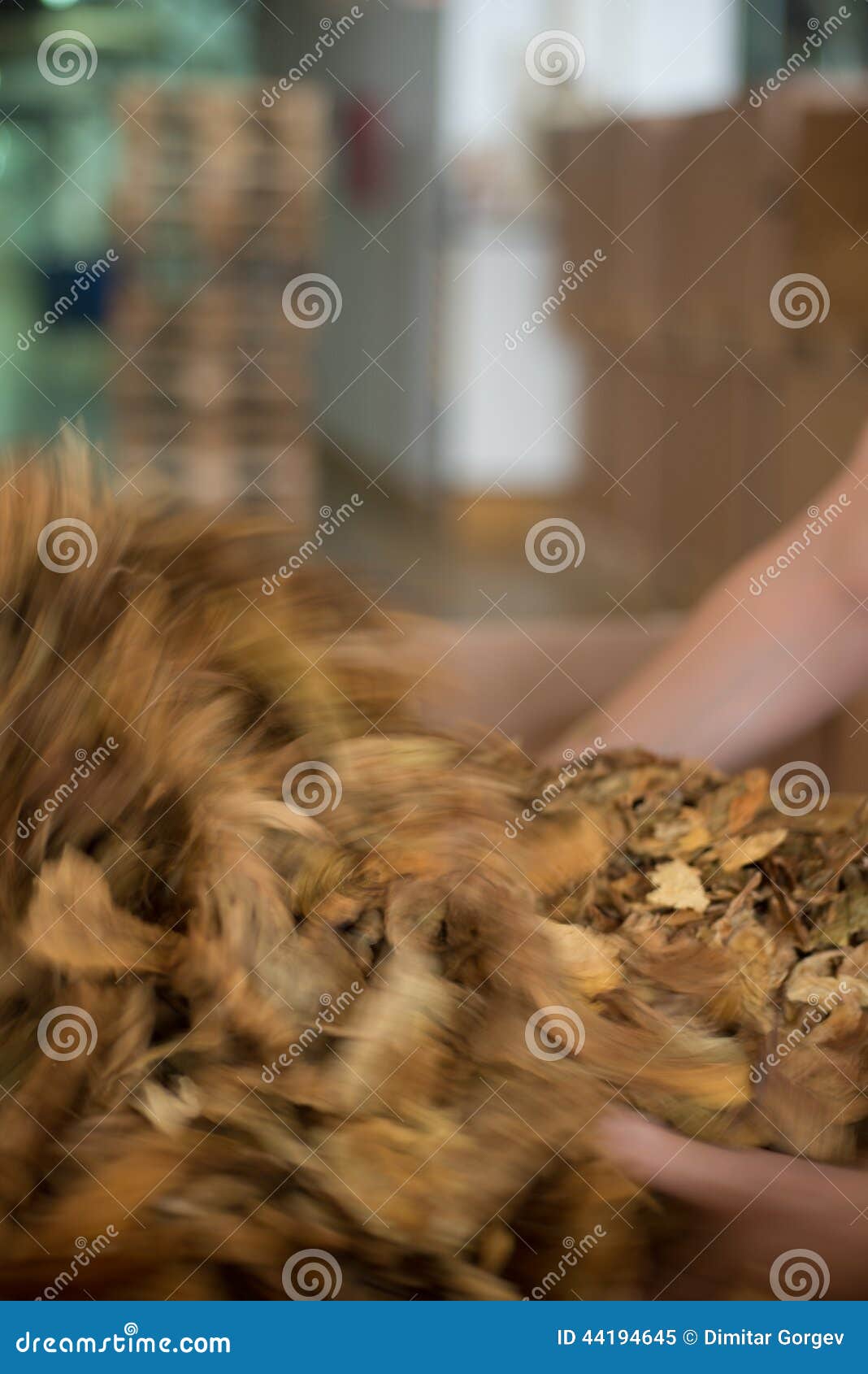 Cigarette Manufacturing Process Stock Image - Image of product, blurred ...