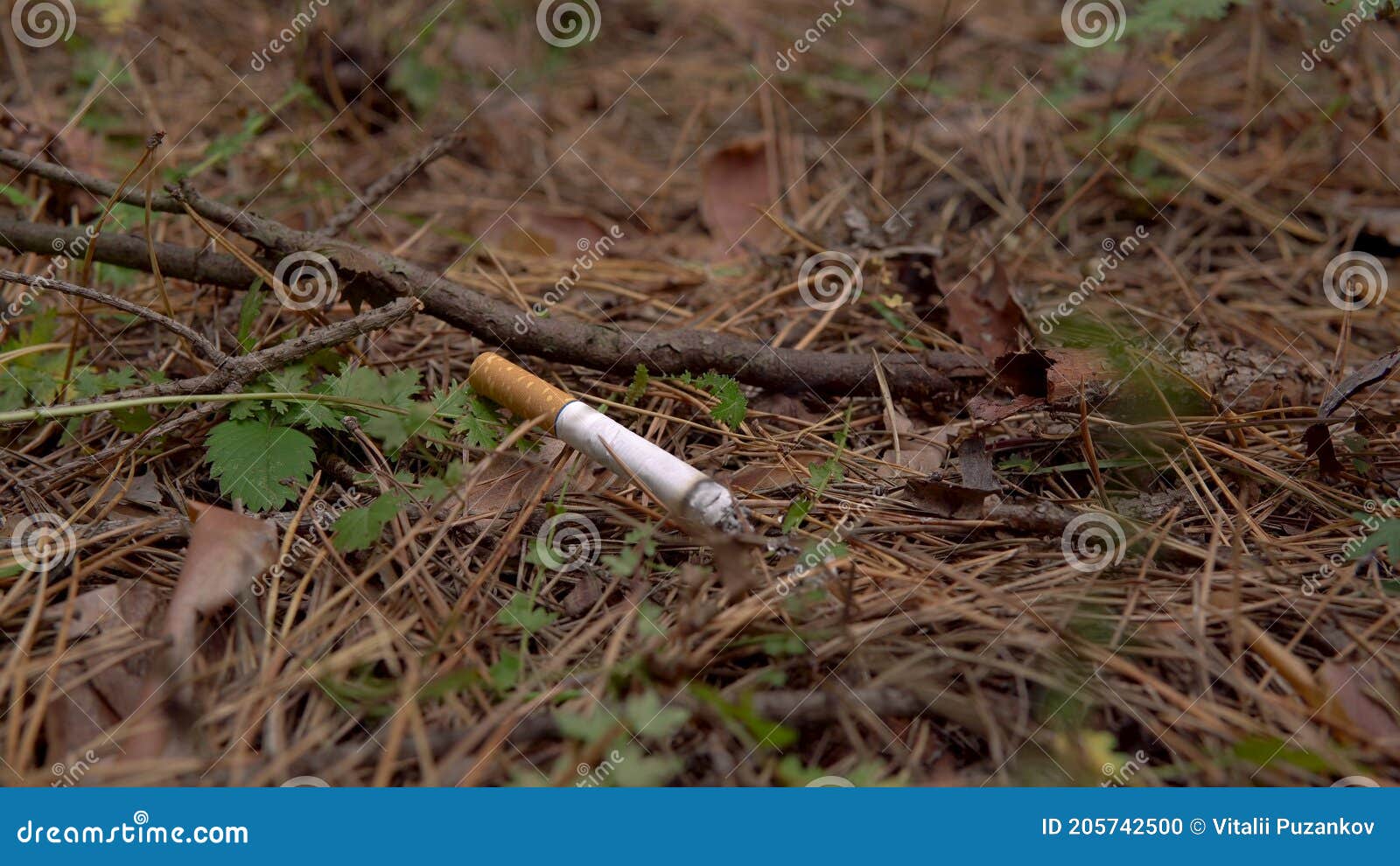 A Cigarette Smolders in a Forest. a Man Threw a Burning Cigarette in ...