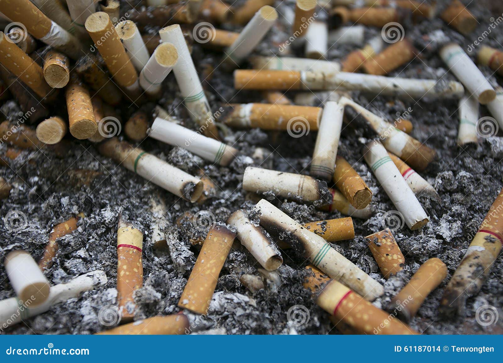 Cigarette stub stock photo. Image of ashes, smoke, cigarette - 61187014