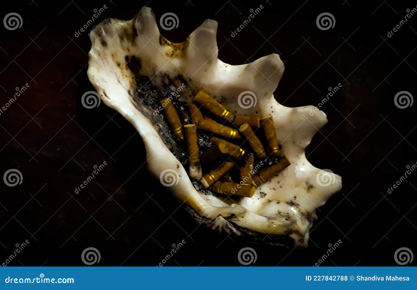 Cigarette Trash and Scandinavian Shells Stock Photo - Image of trash ...