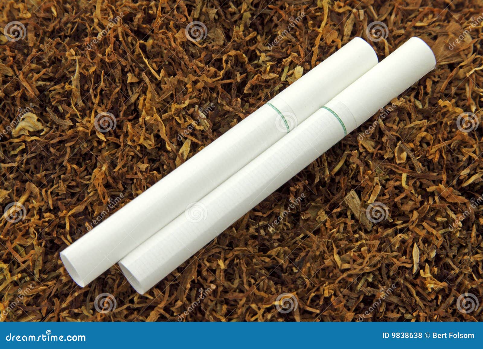 Cigarette Tubes and Menthol Tobacco Stock Photo - Image of agricultural ...