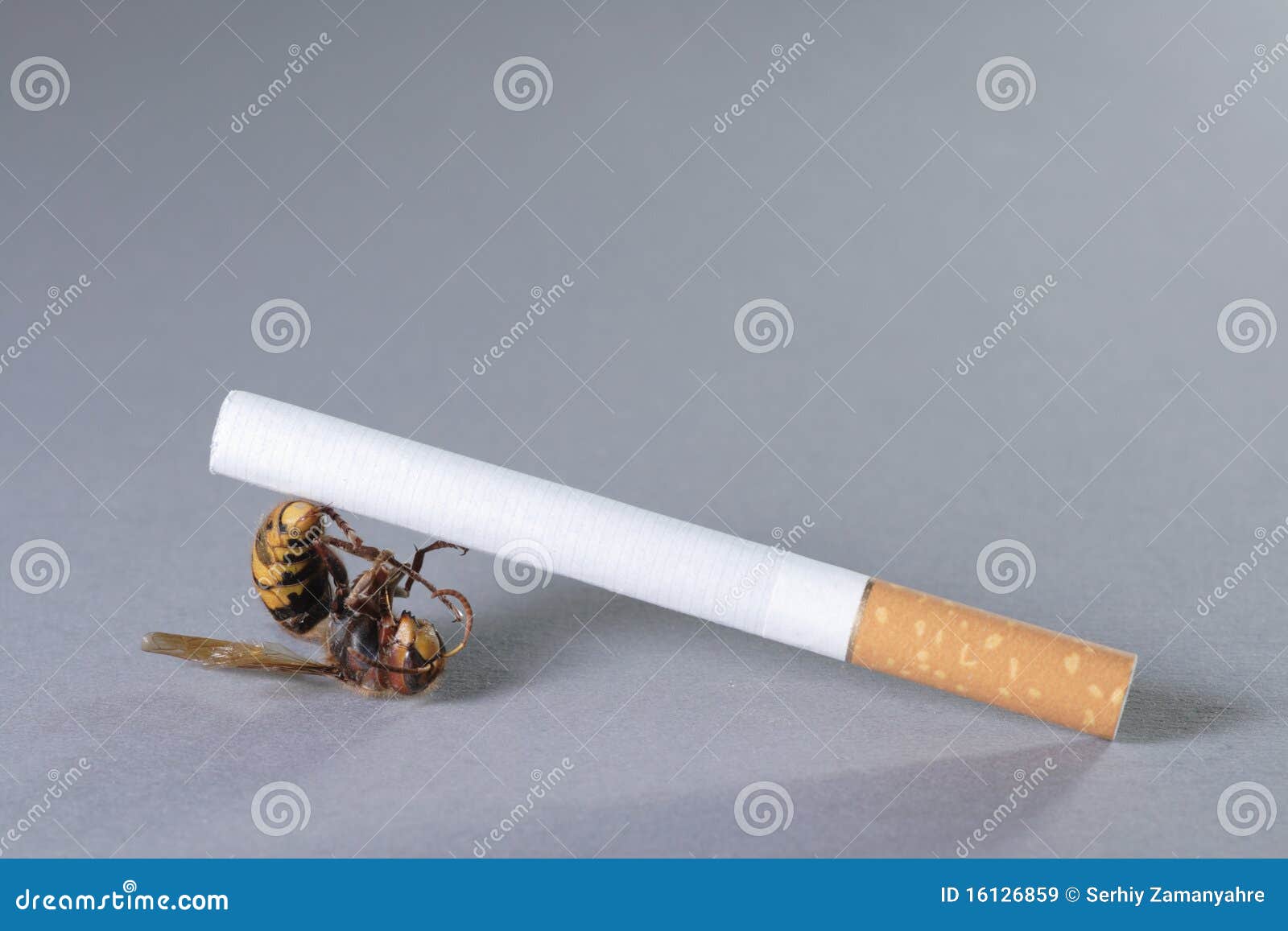 Cigarette weapon stock image. Image of nicotine, product - 16126859