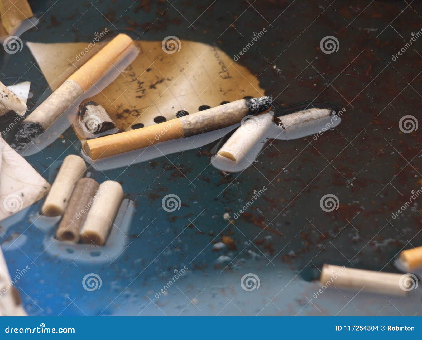 Cigarettes stock photo. Image of cigarette, water, cigarettes - 117254804