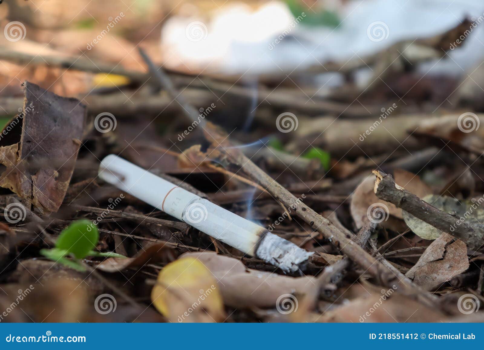 Cigarettes are fire stock photo. Image of foliage, grass - 218551412