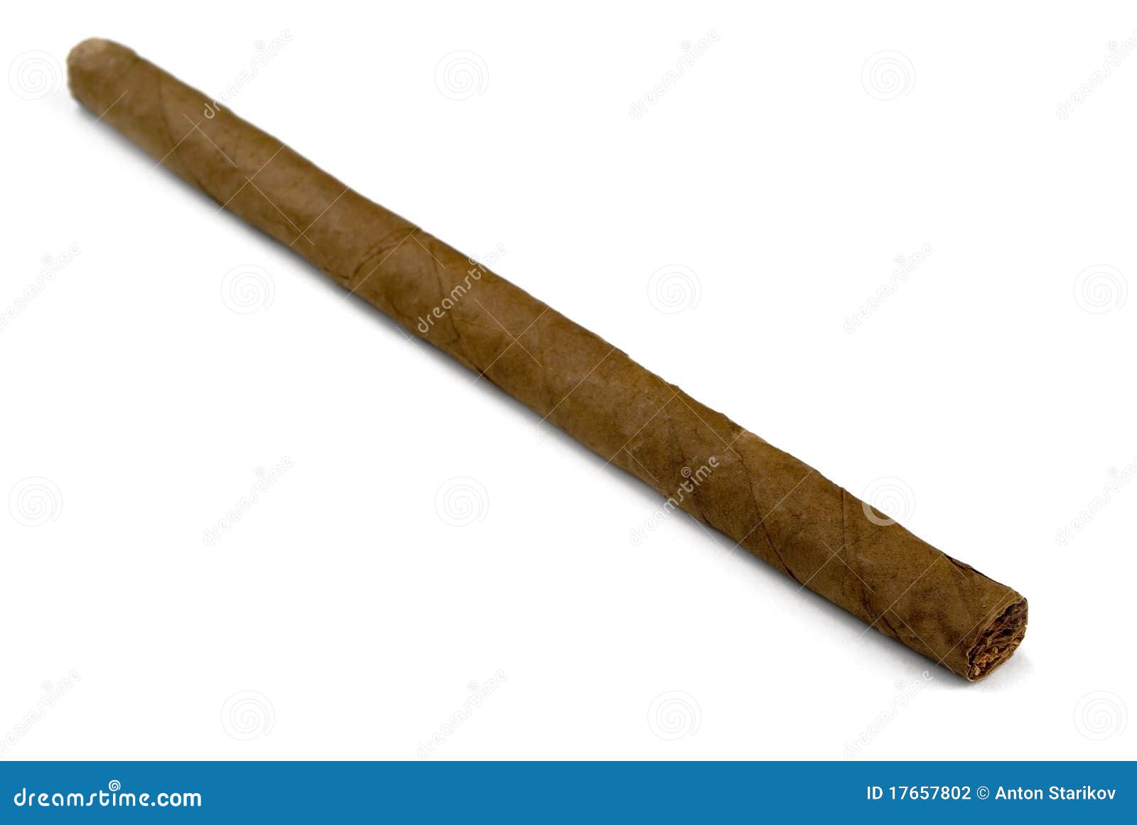 Cigarillo stock photo. Image of long, full, cheroot, nicotine - 17657802