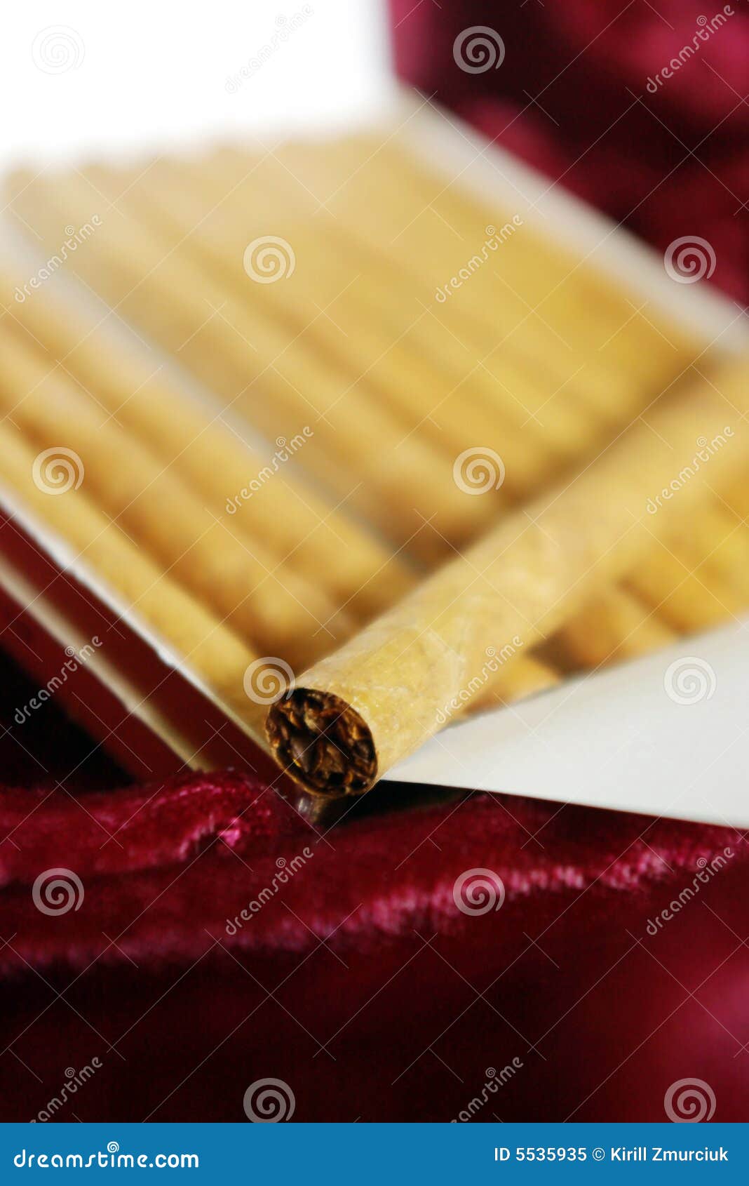 Cigarillo Close-up stock image. Image of warm, velvet - 5535935