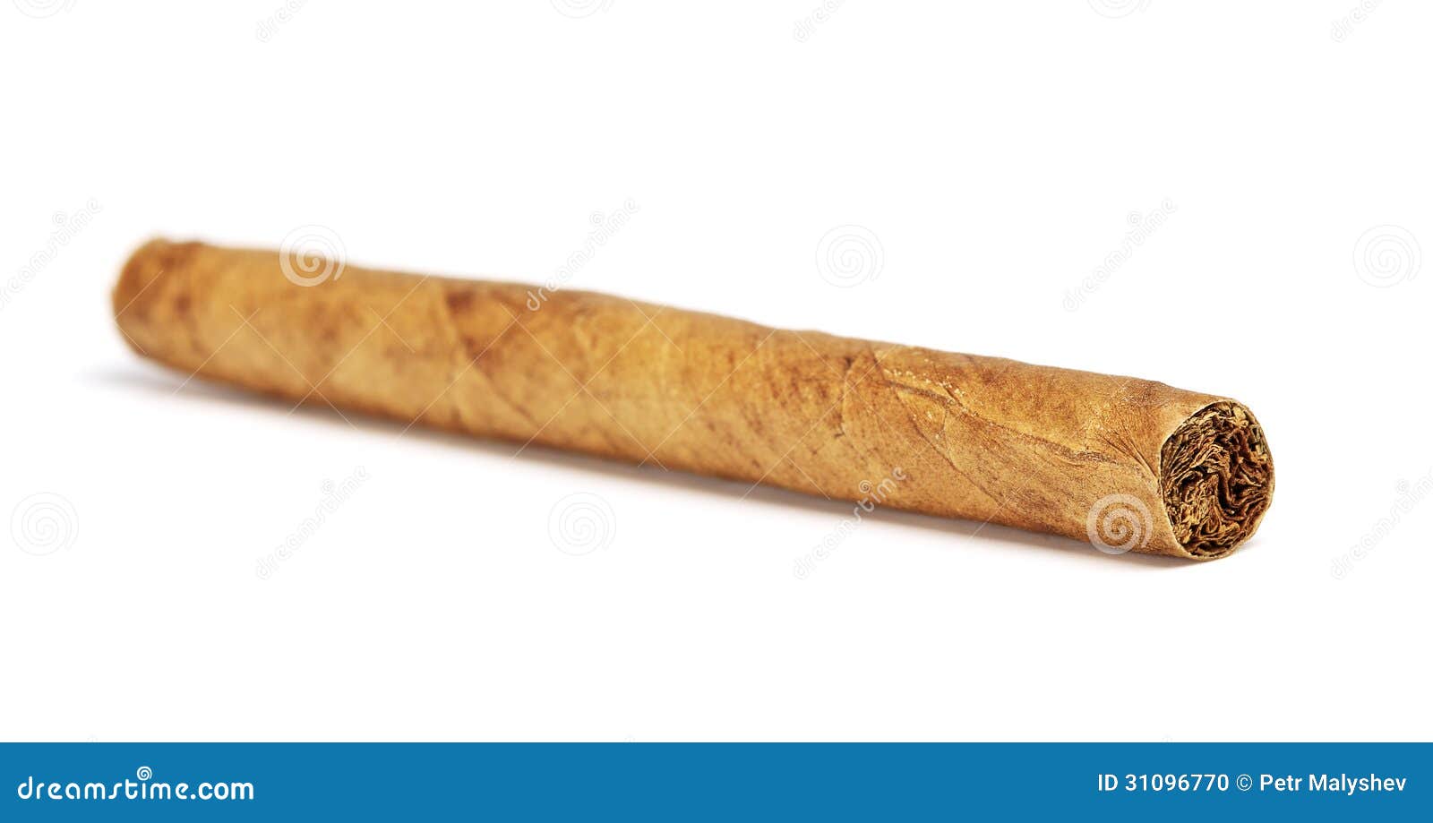 Cigarillos stock photo. Image of burn, leisure, closeup - 31096770
