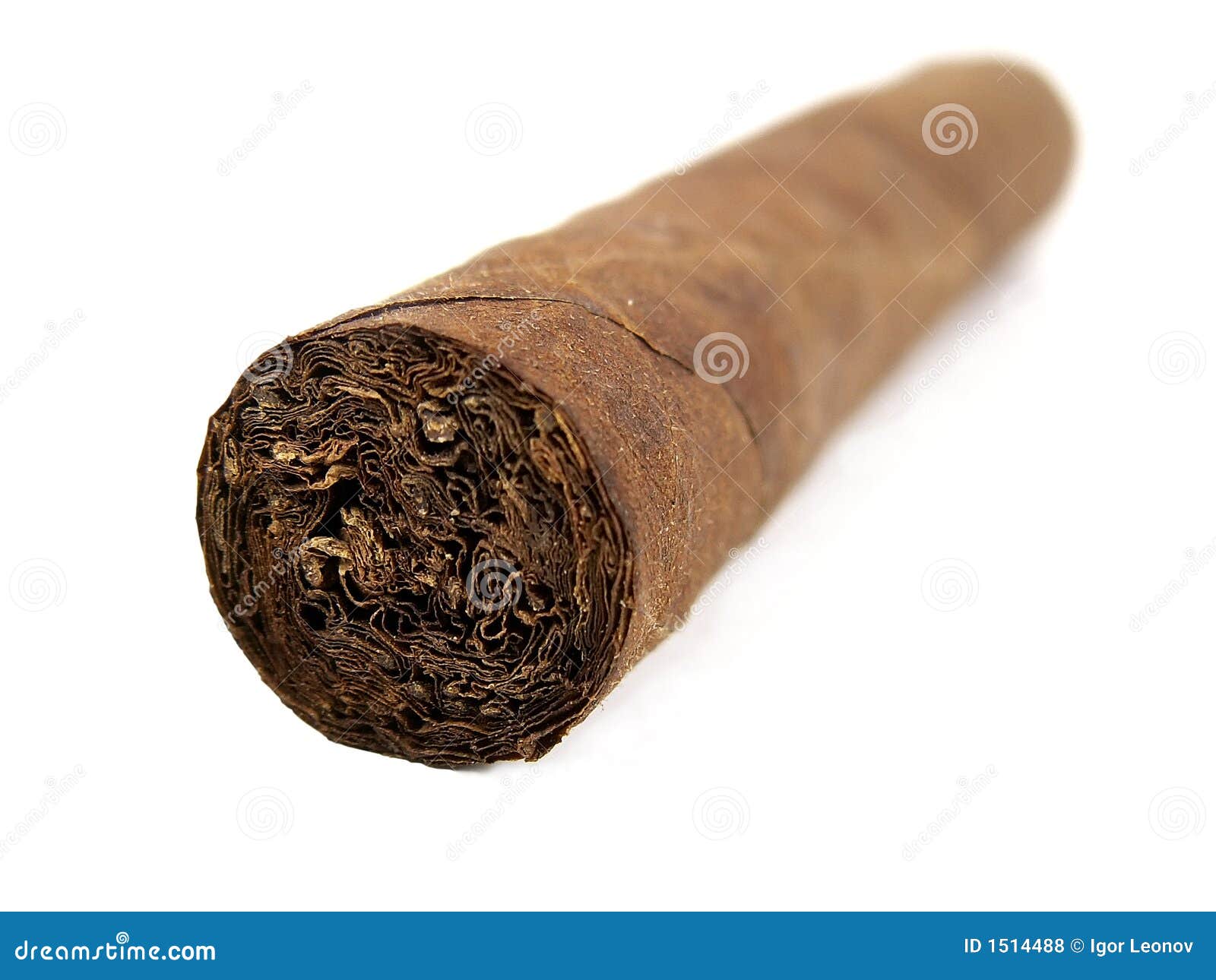 Cigarr arkivfoto. Bild av rikt, opulens, rökning, hälsa - 1514488