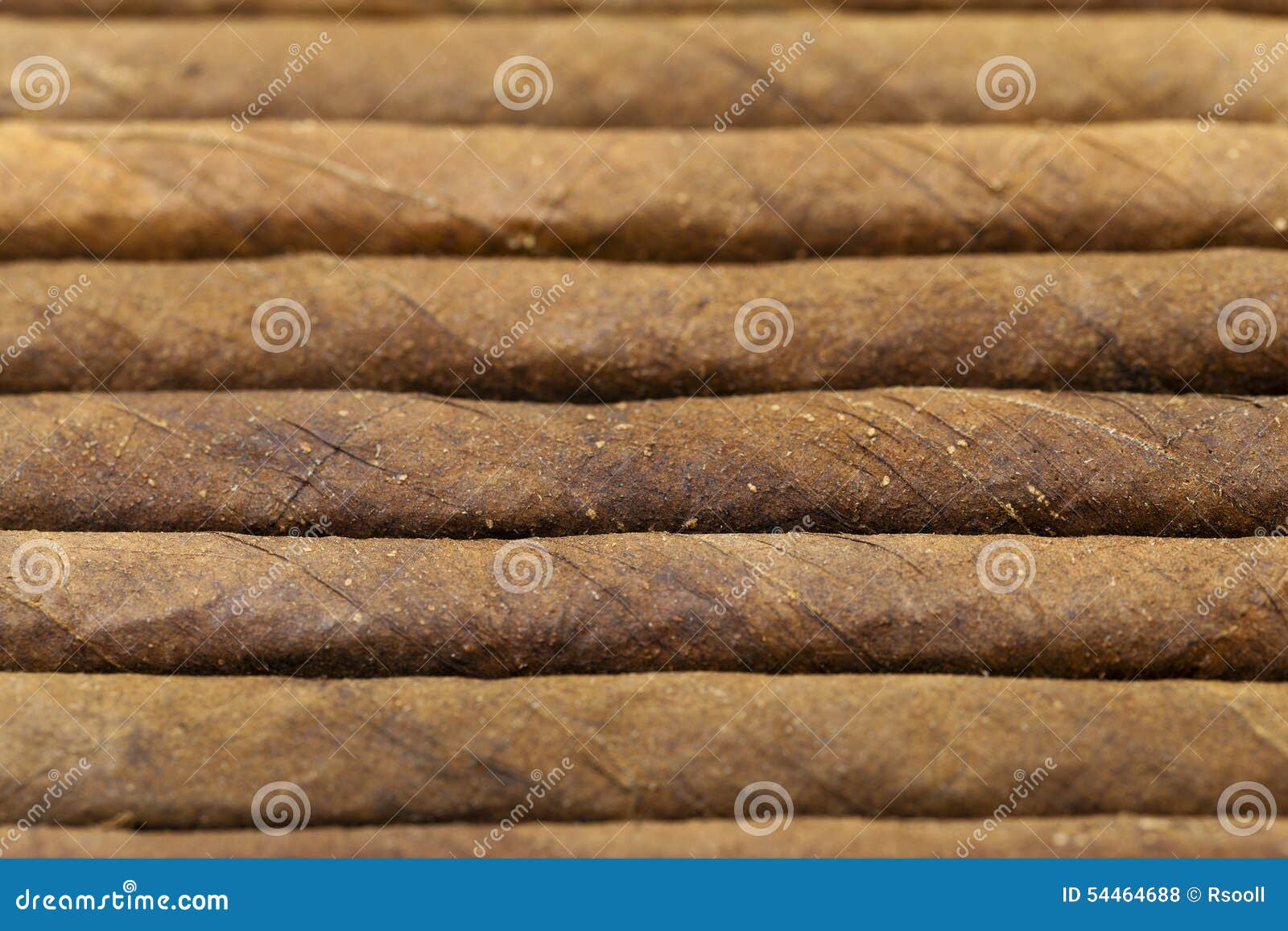 Cigarrer arkivfoto. Bild av snitt, cigarr, grupp, stapel - 54464688