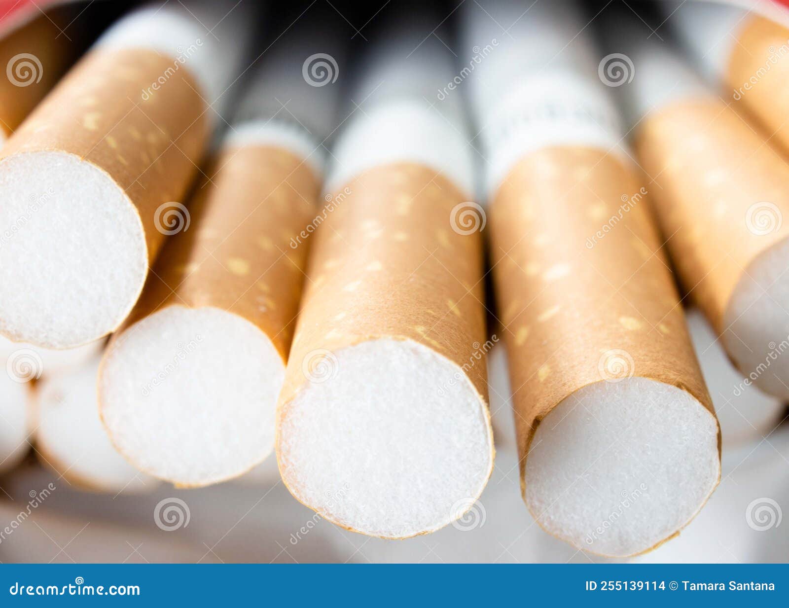 Cigarette Set Pattern in Pack Stock Photo - Image of pipe, white: 255139114