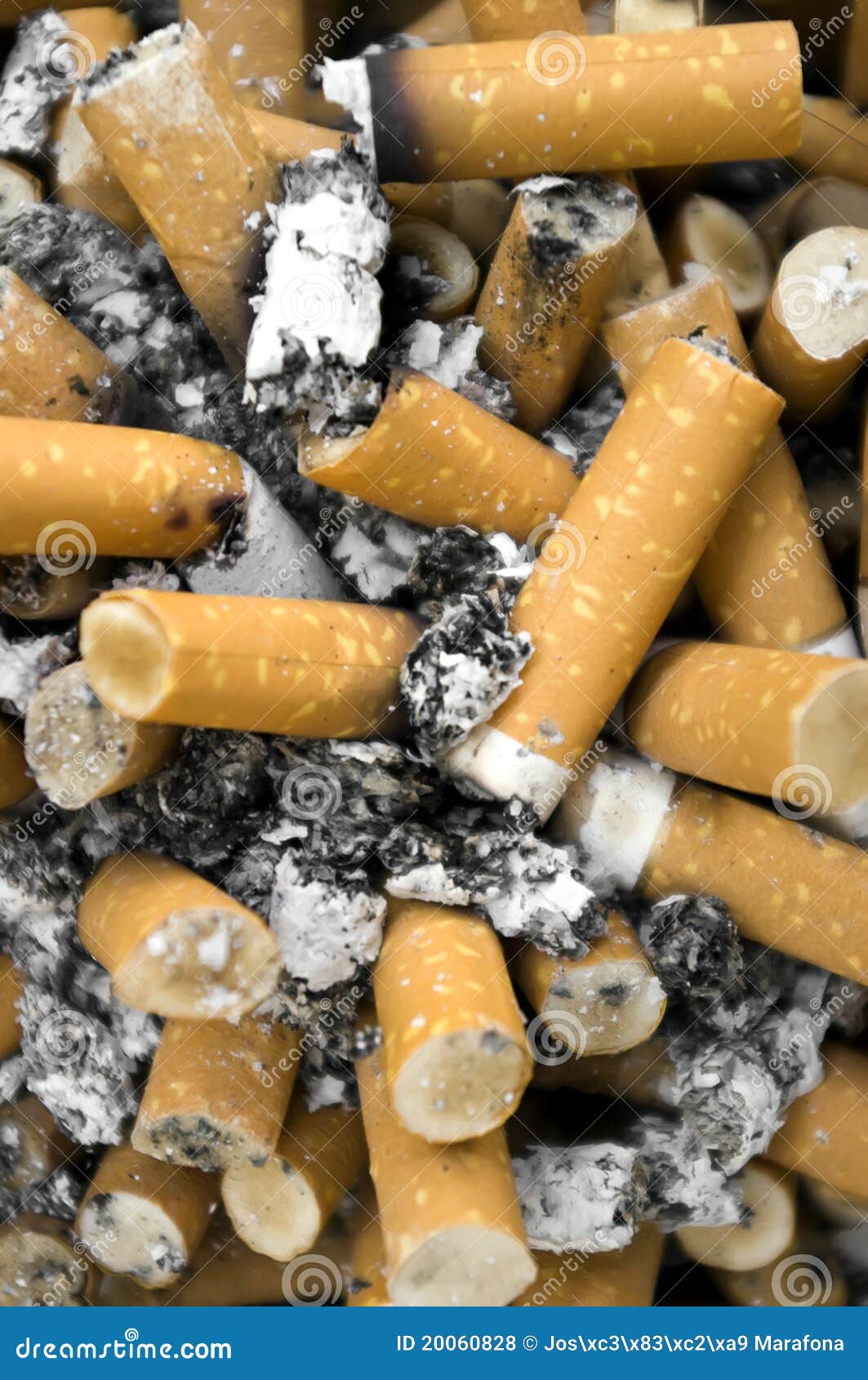Cigarrettes stock photo. Image of smoke, tobacco, disgusting - 20060828