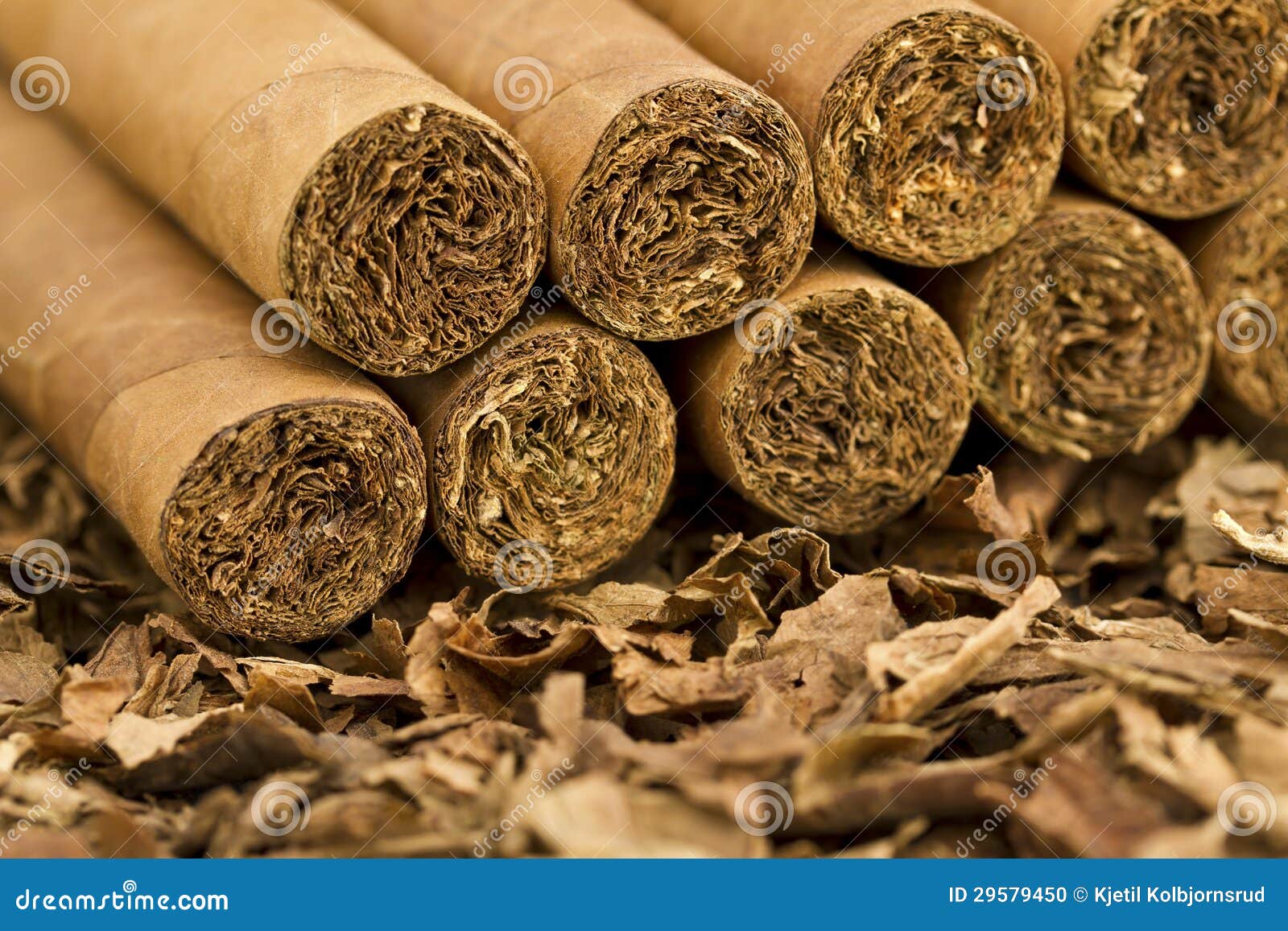 Cigarros en tabaco foto de archivo. Imagen de tabaco - 29579450