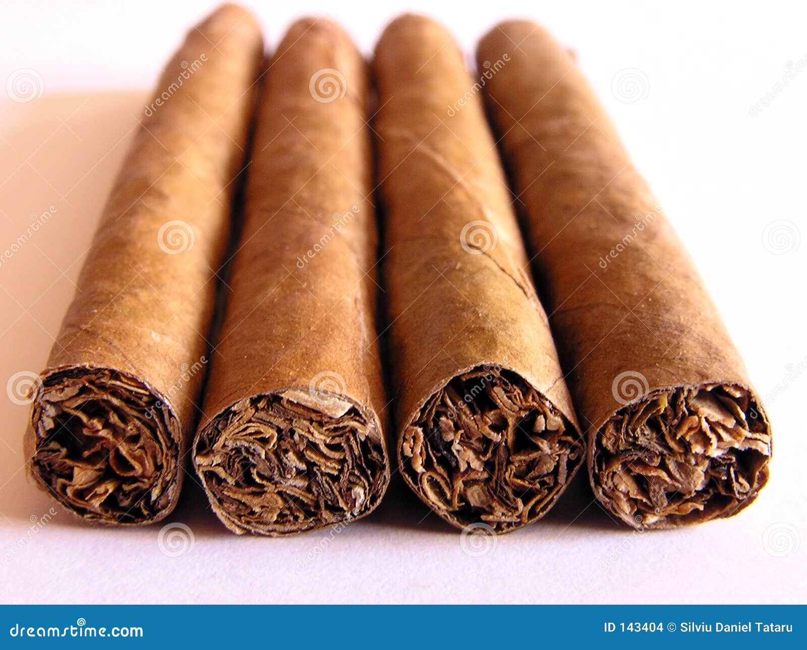 Cigars stock photo. Image of wrapper, tobacconist, savory - 143404