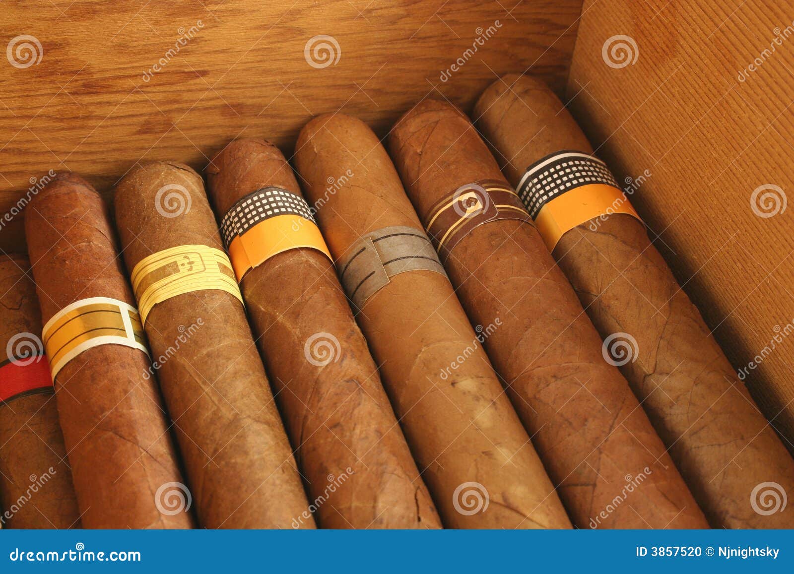 Cigars stock photo. Image of cigar, cuban, brown, tobacco - 3857520