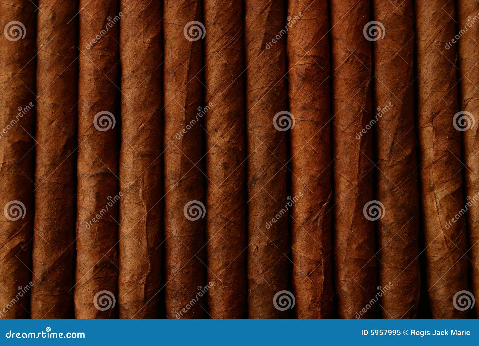 Cigars stock image. Image of cigar, health, havana, lungs - 5957995