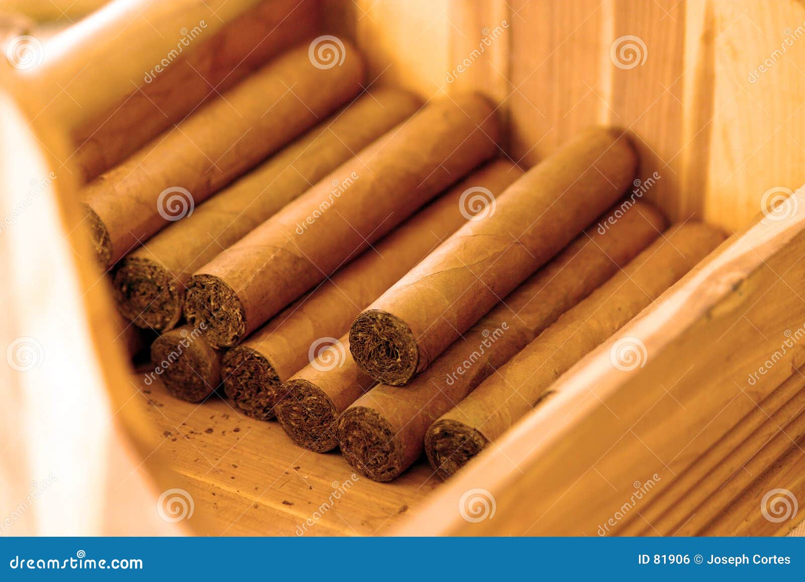 Cigars stock photo. Image of tobacconist, puff, texture - 81906
