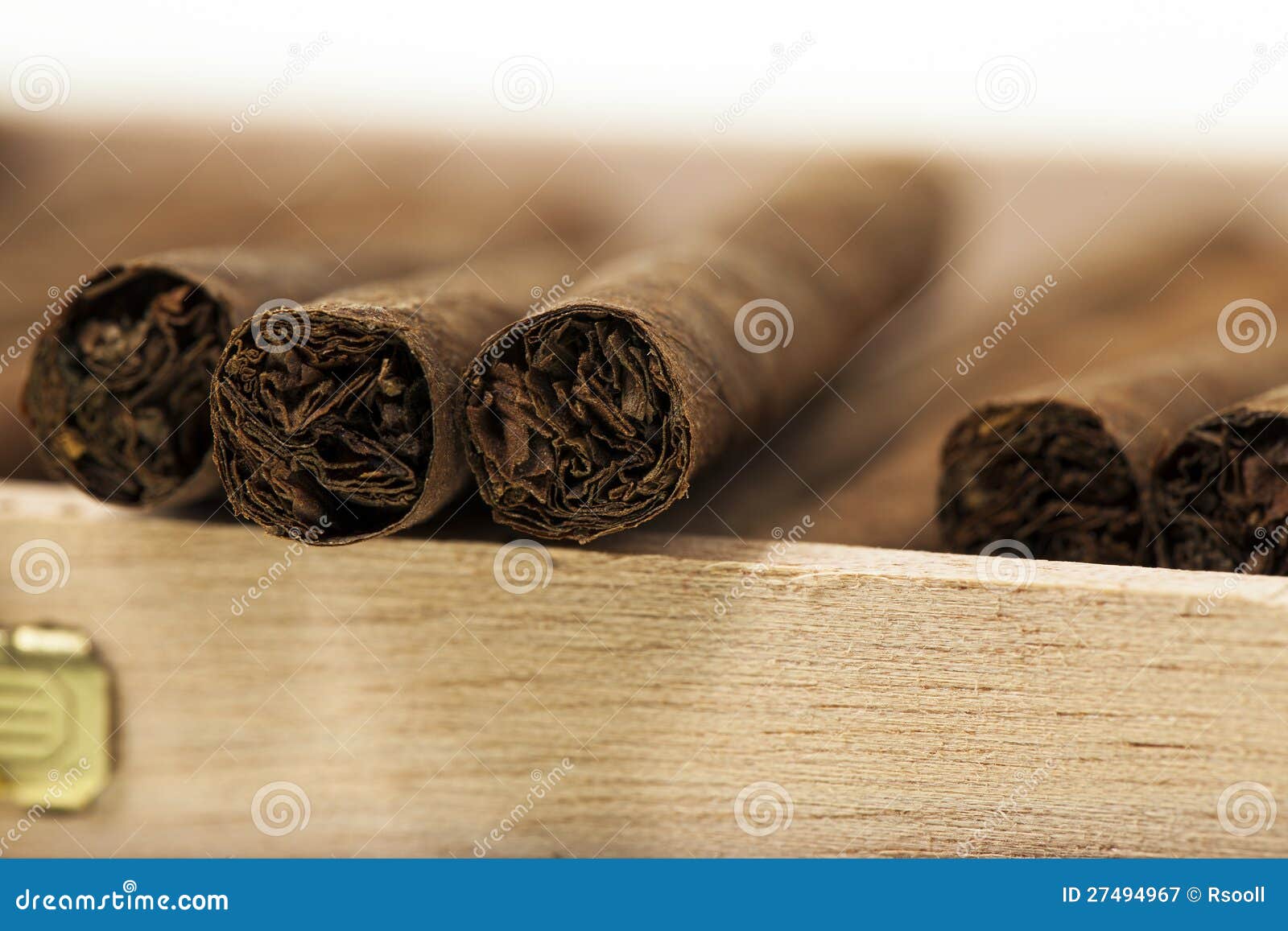 Cigars in a box stock image. Image of cuban, leaf, orange - 27494967