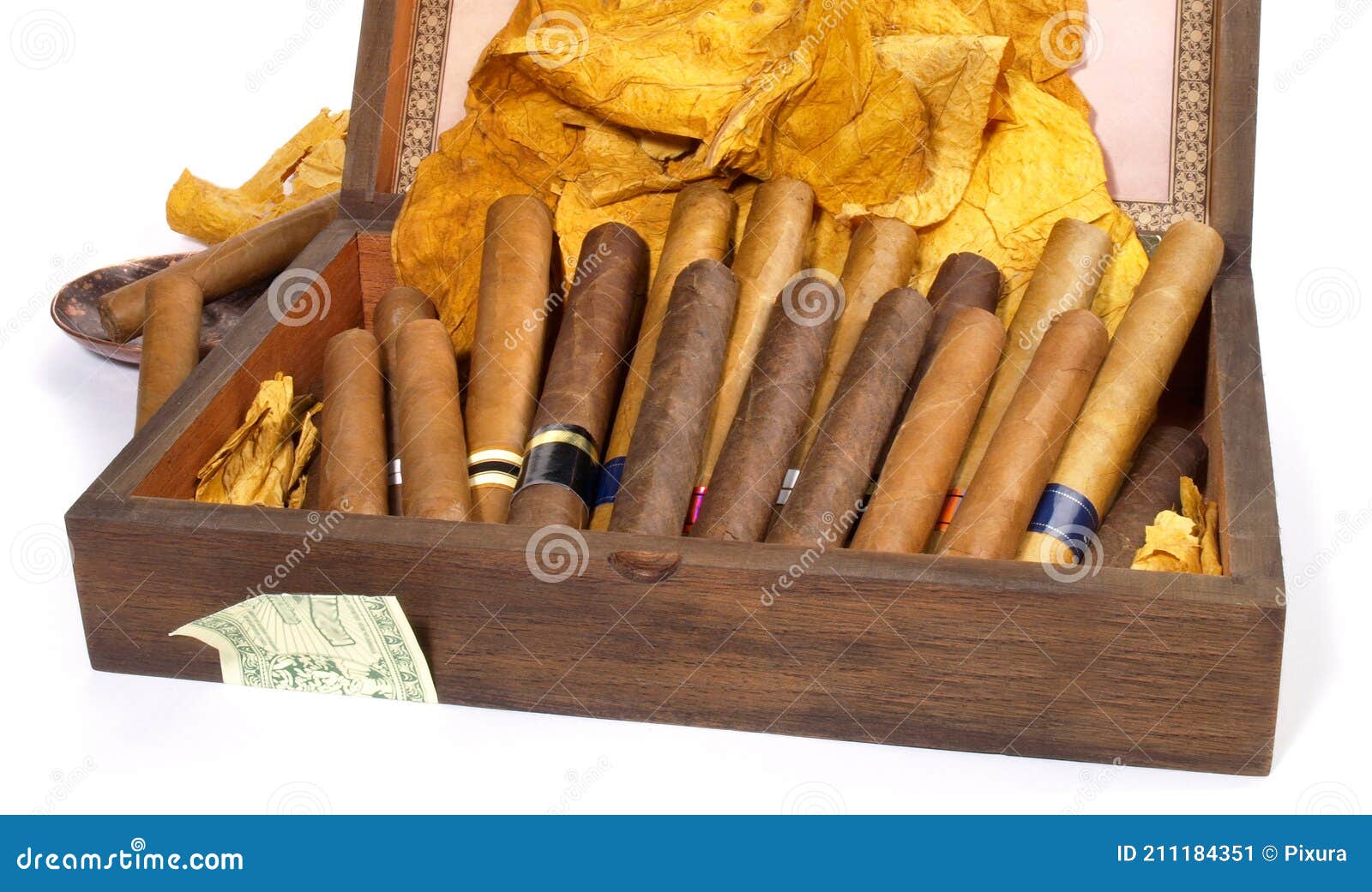 Cigars in a Box Isolated on White Background Stock Image - Image of ...