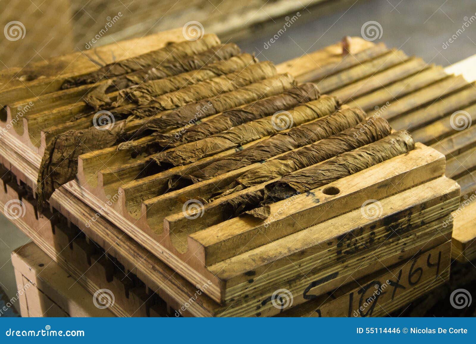 Cigars during the Production Process Stock Photo - Image of homemade ...