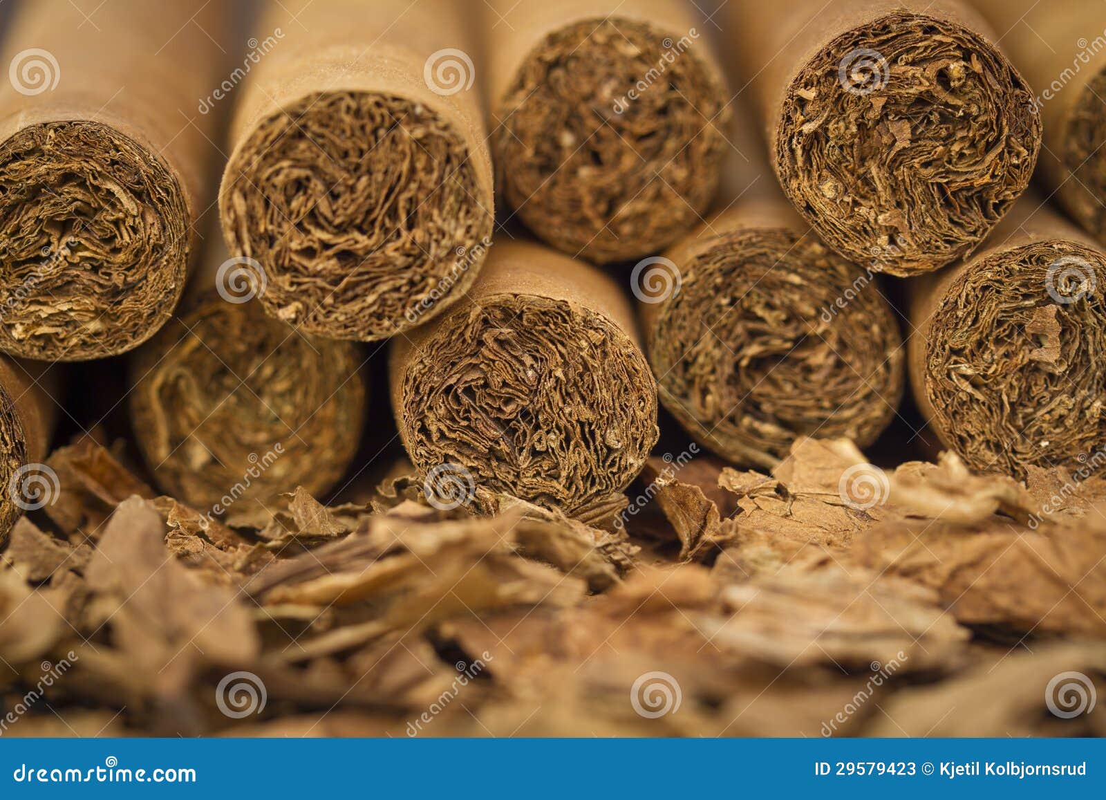 Cigars on Tobacco stock image. Image of cigar, stack - 29579423