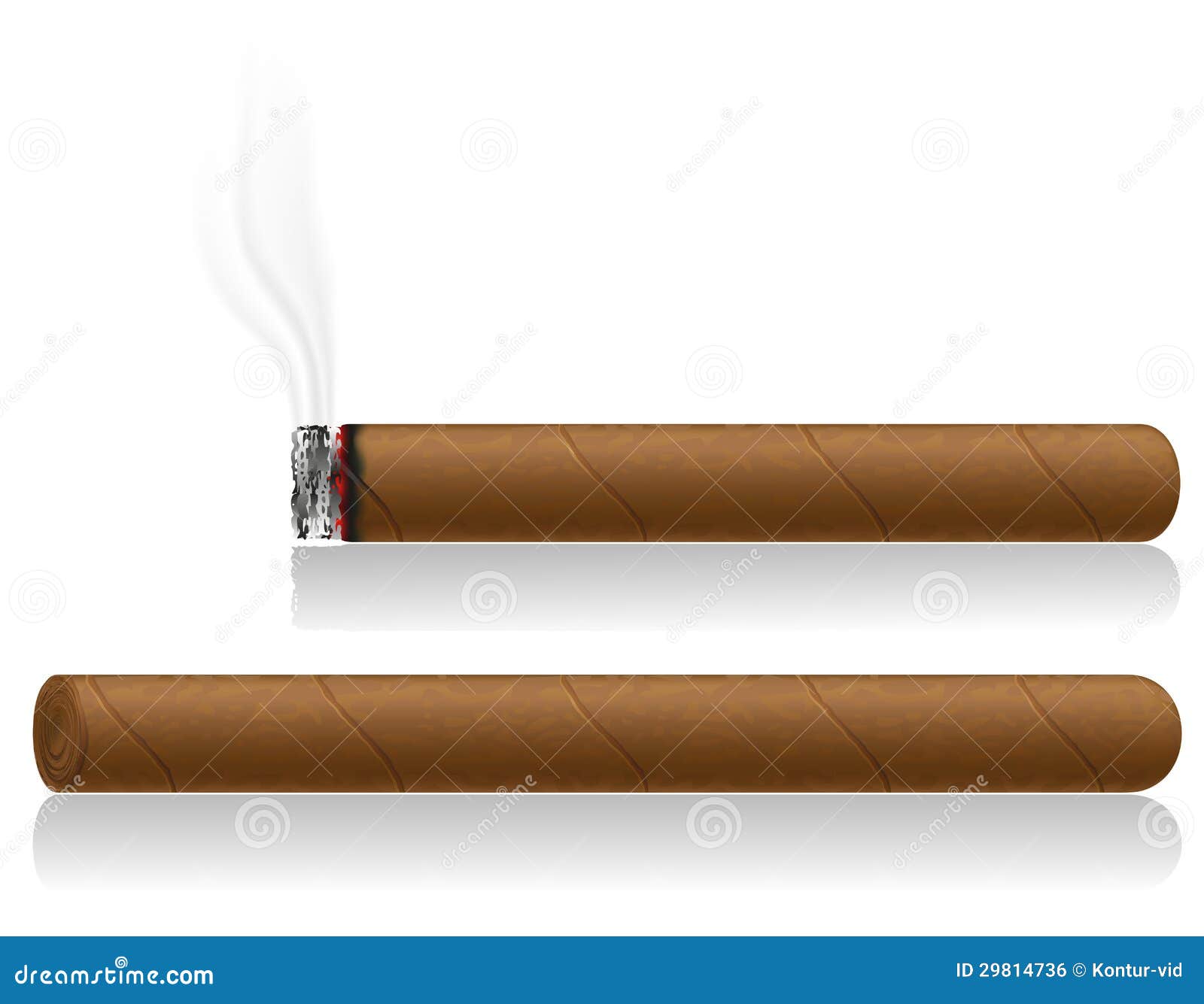 Cigar Vector