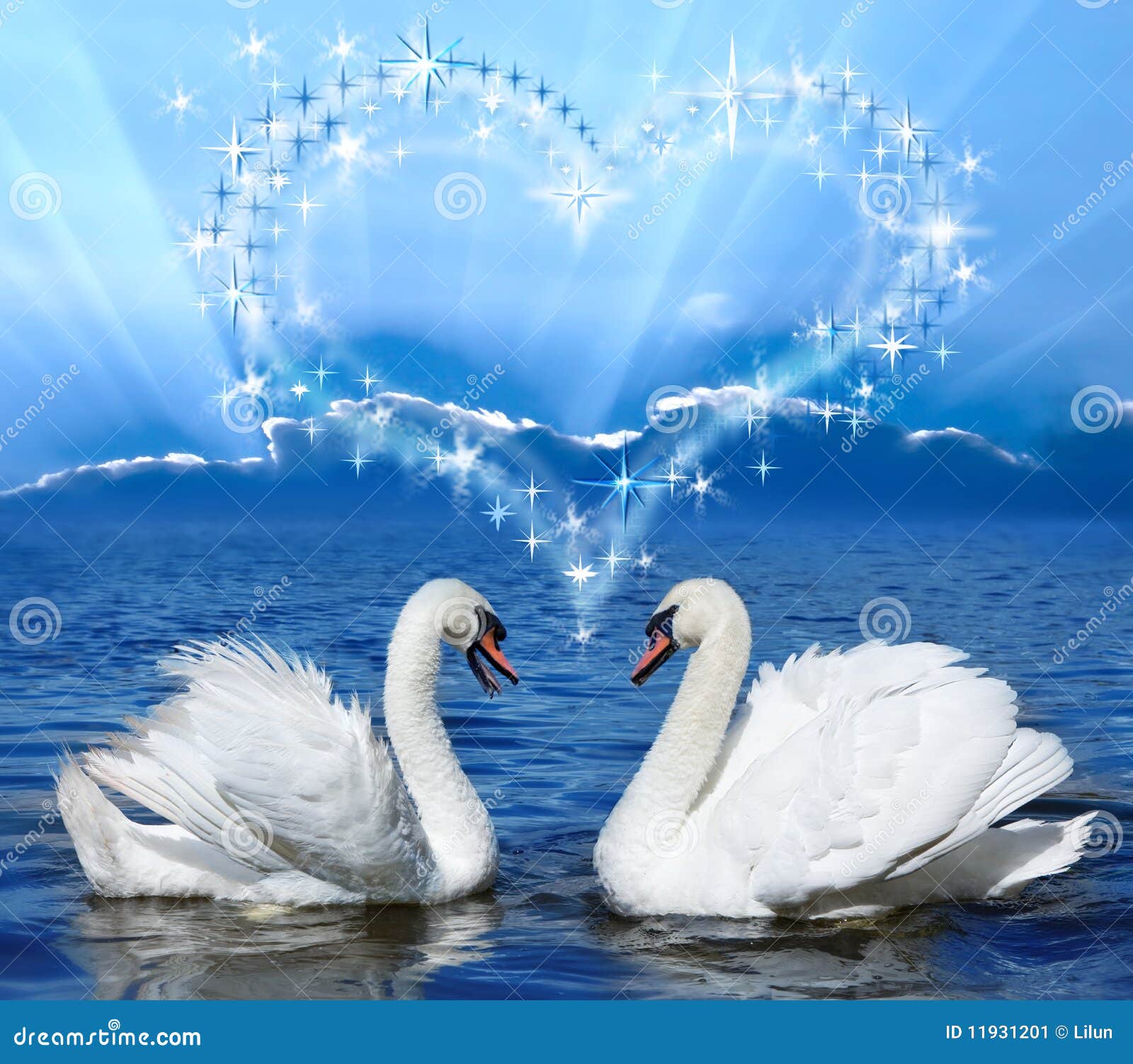 Cigni immagine stock. Immagine di stelle, ondulazione - 11931201